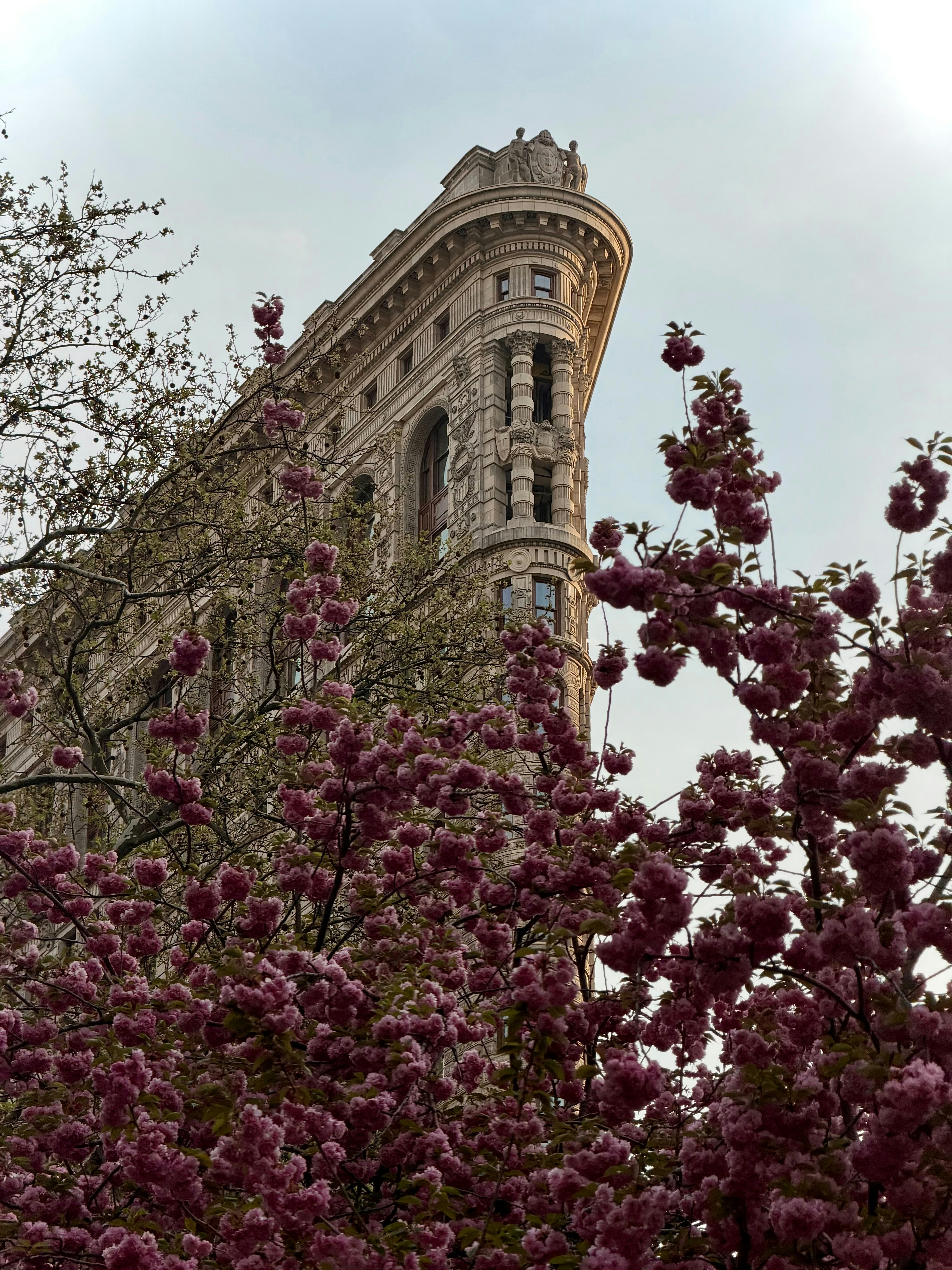 Gothic Facade Peeking Through Spring Blooms