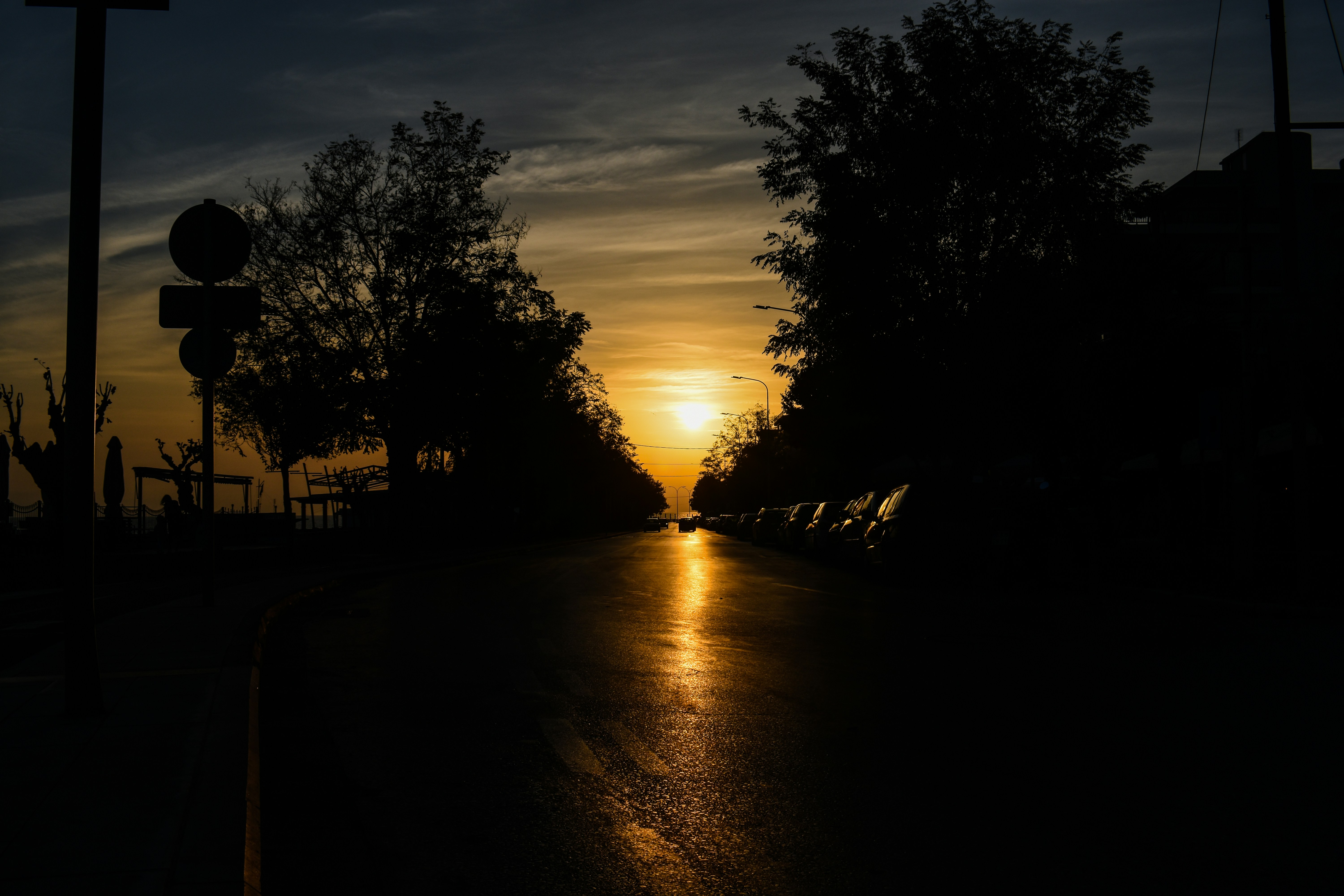 Sunlit Street Horizon: Quiet Thrum of Dusk