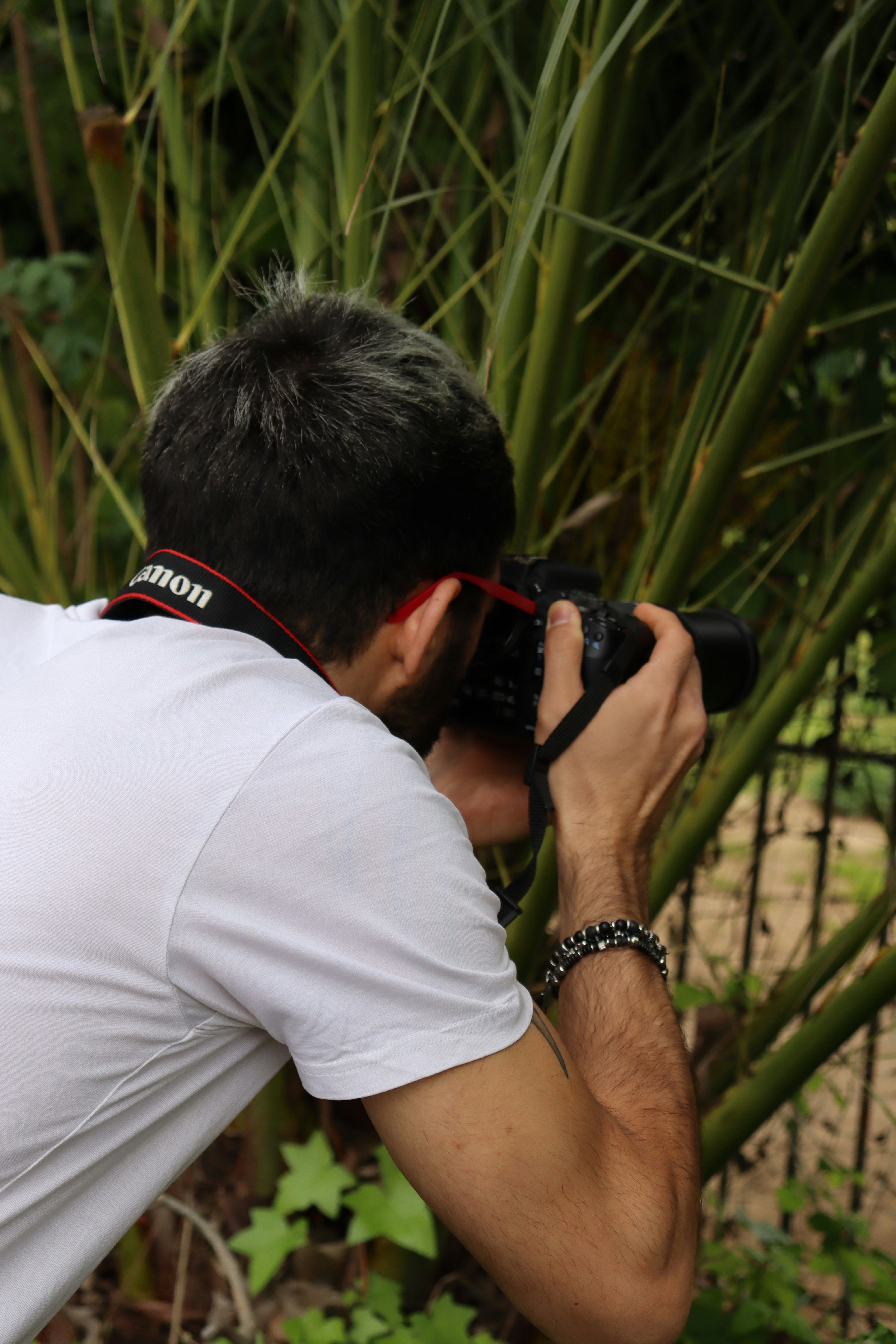 Through the Glass: A Close-Up of a Focused Photographer in the Canopy