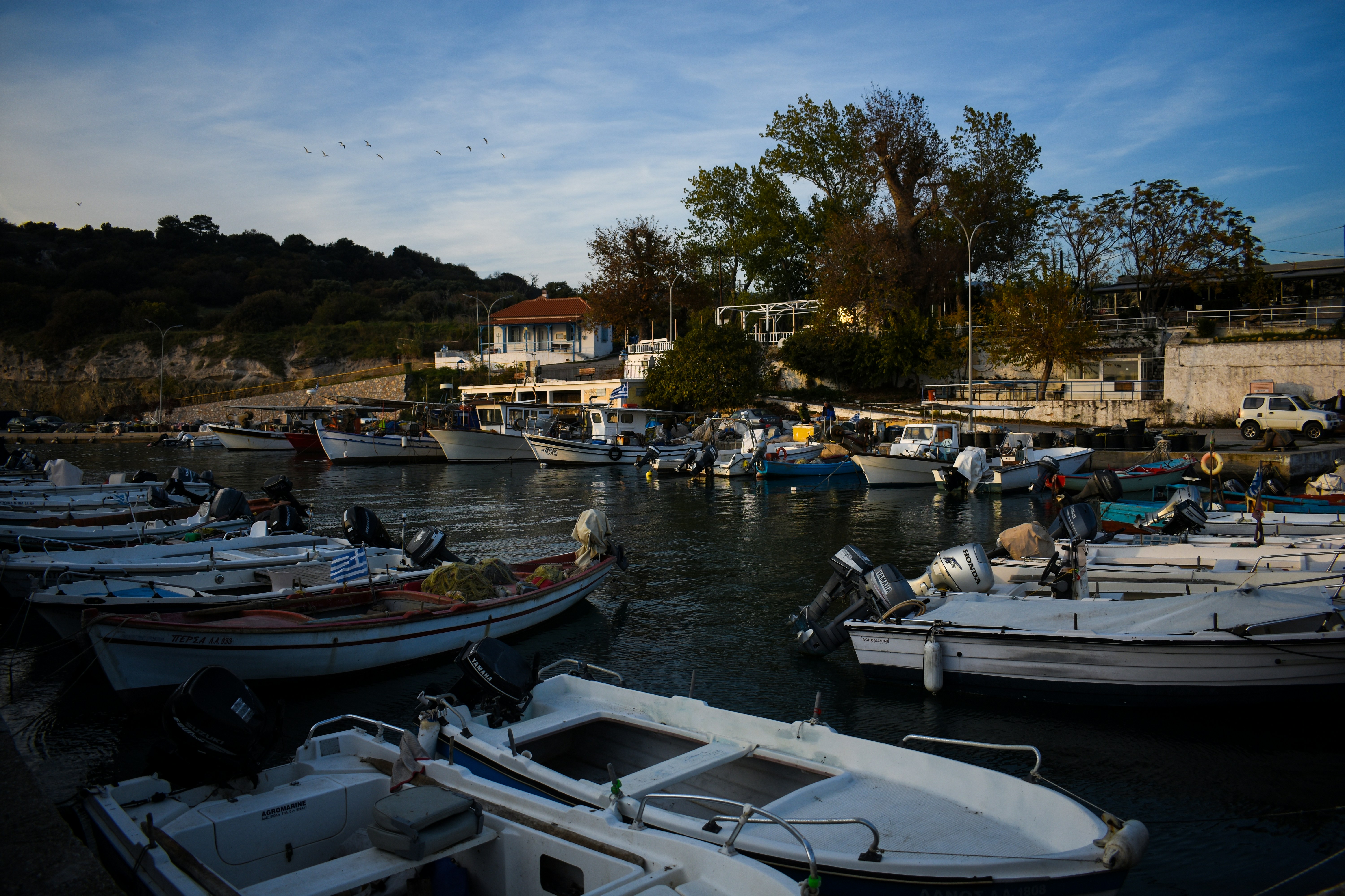 Harbor at Dusk: Boats Rest Along a Quiet Cove