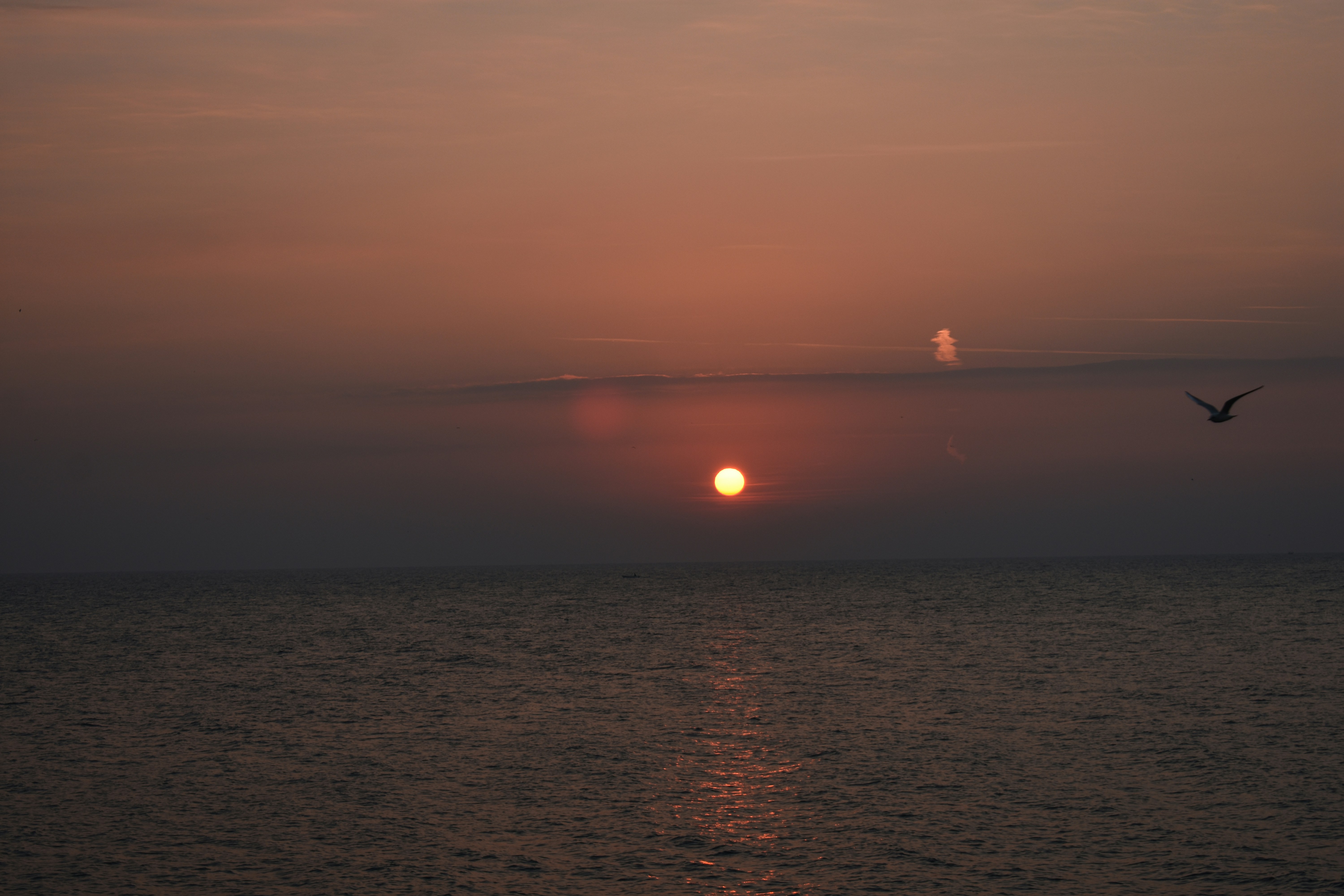 Solitary Sun at Dusk Over a Quiet Sea