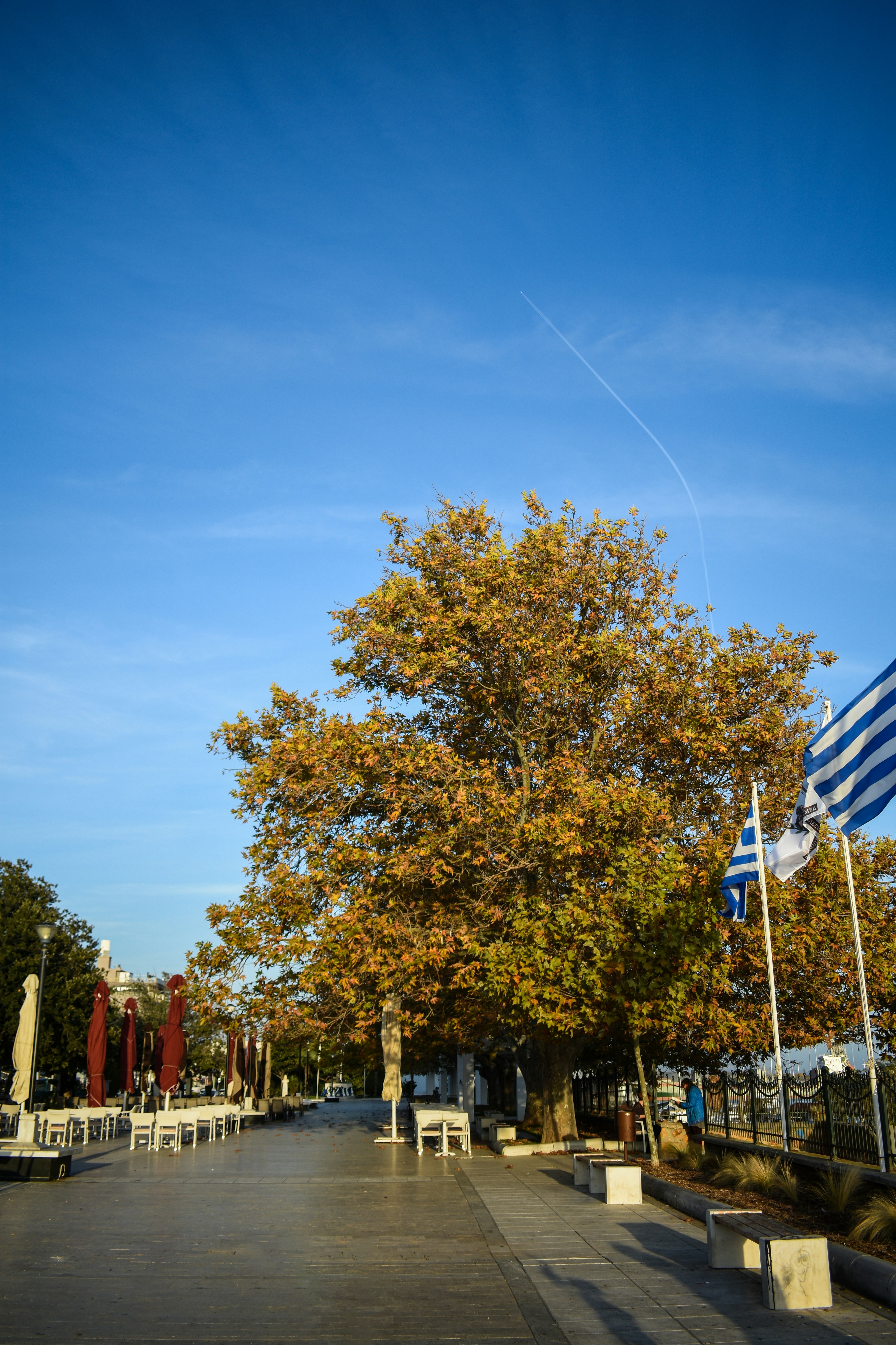 Autumn Promenade Under a Clear Sky