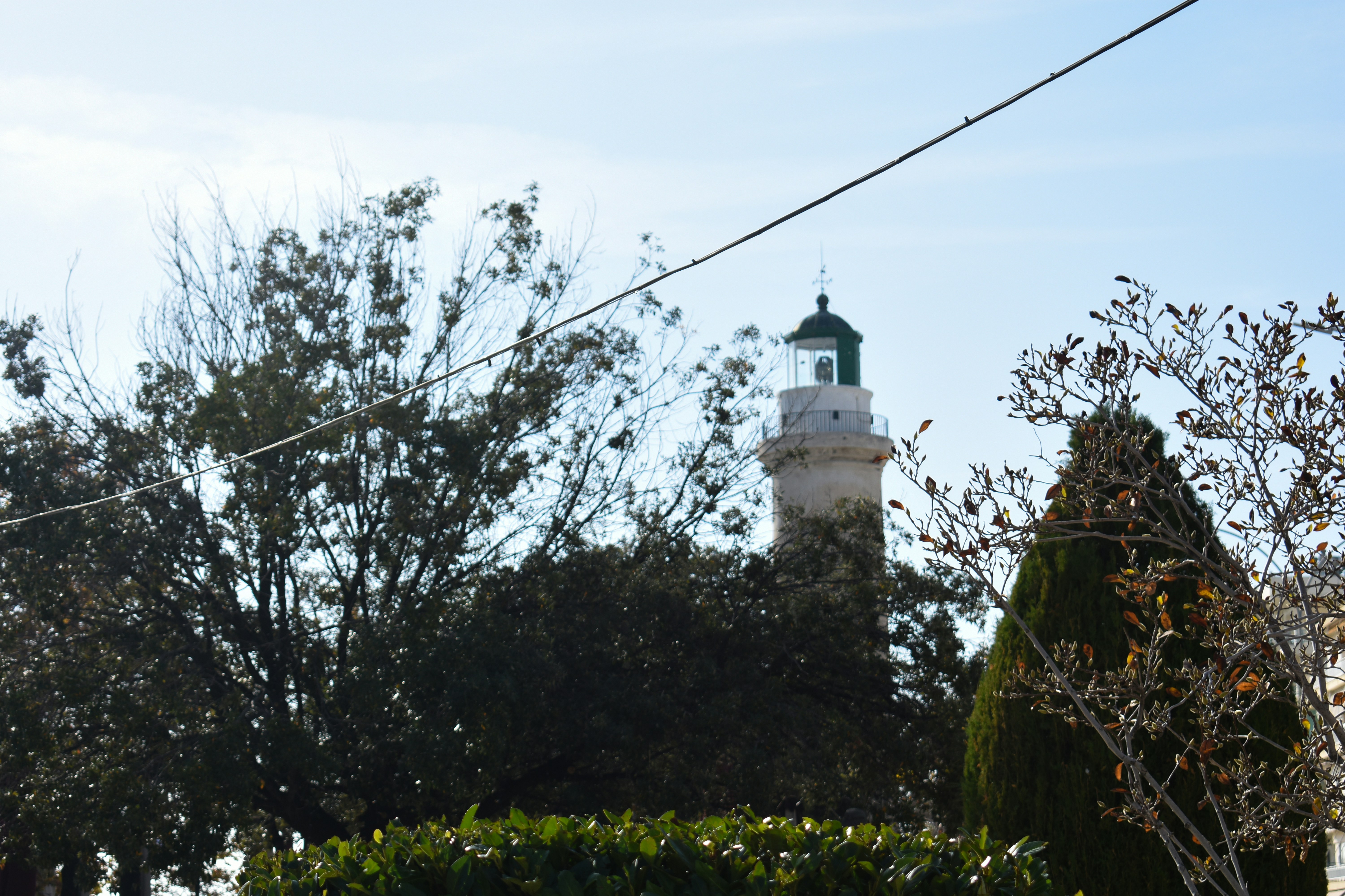 Lighthouse Sentinel Above the Garden Hedge