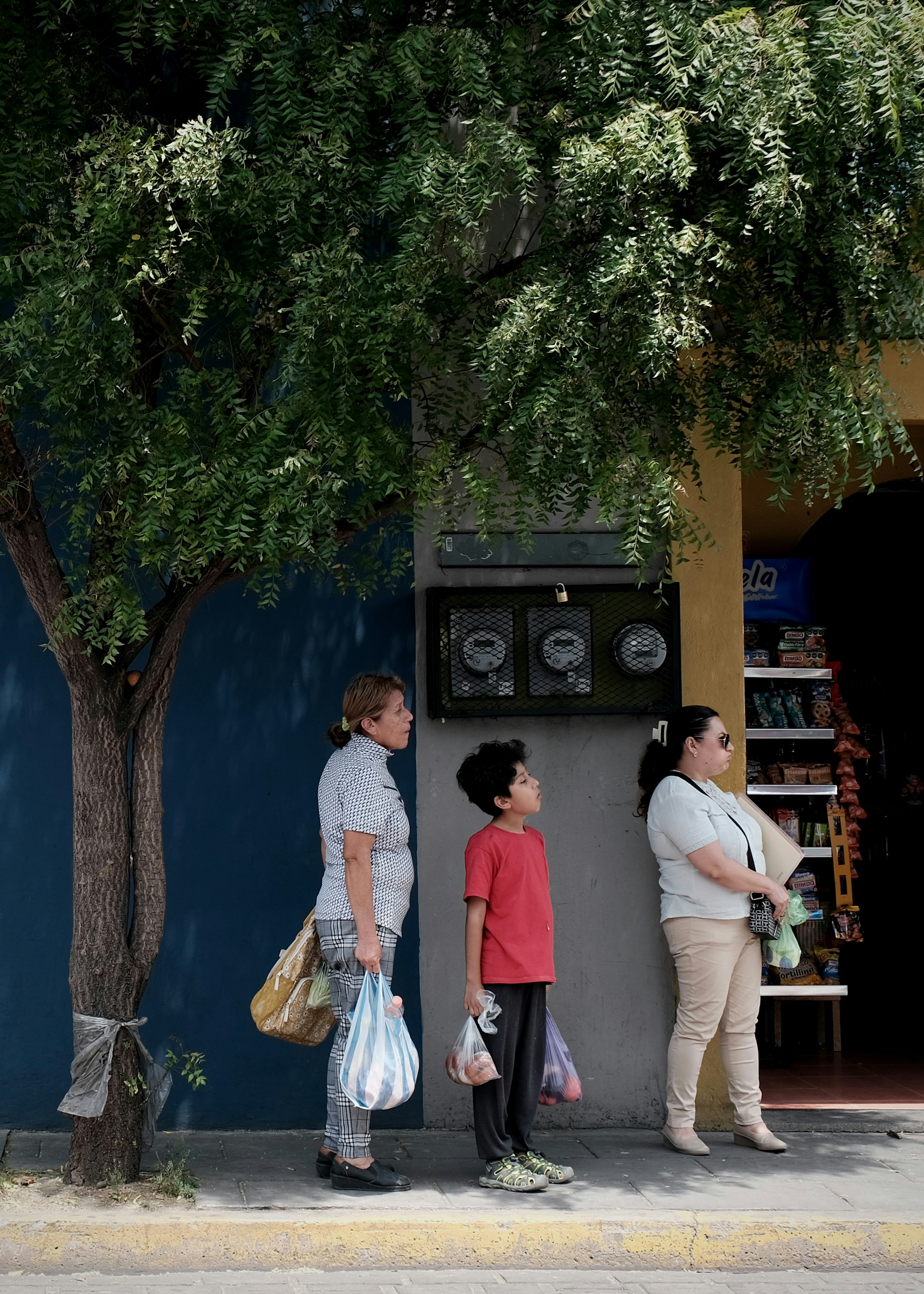 Waiting under the Canopy: A Quiet Street Moment