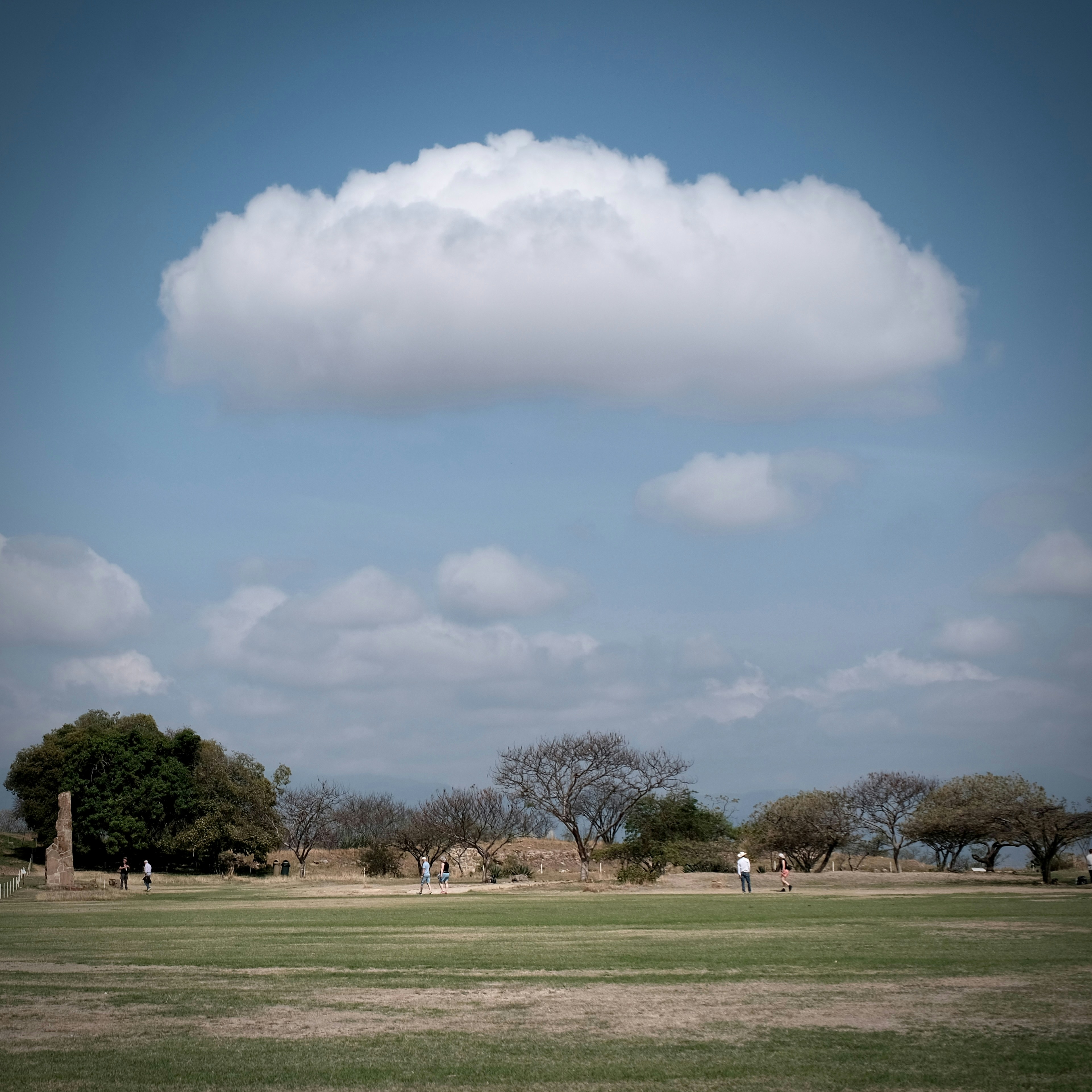 Quiet Parkscape Under a Pillowy Sky