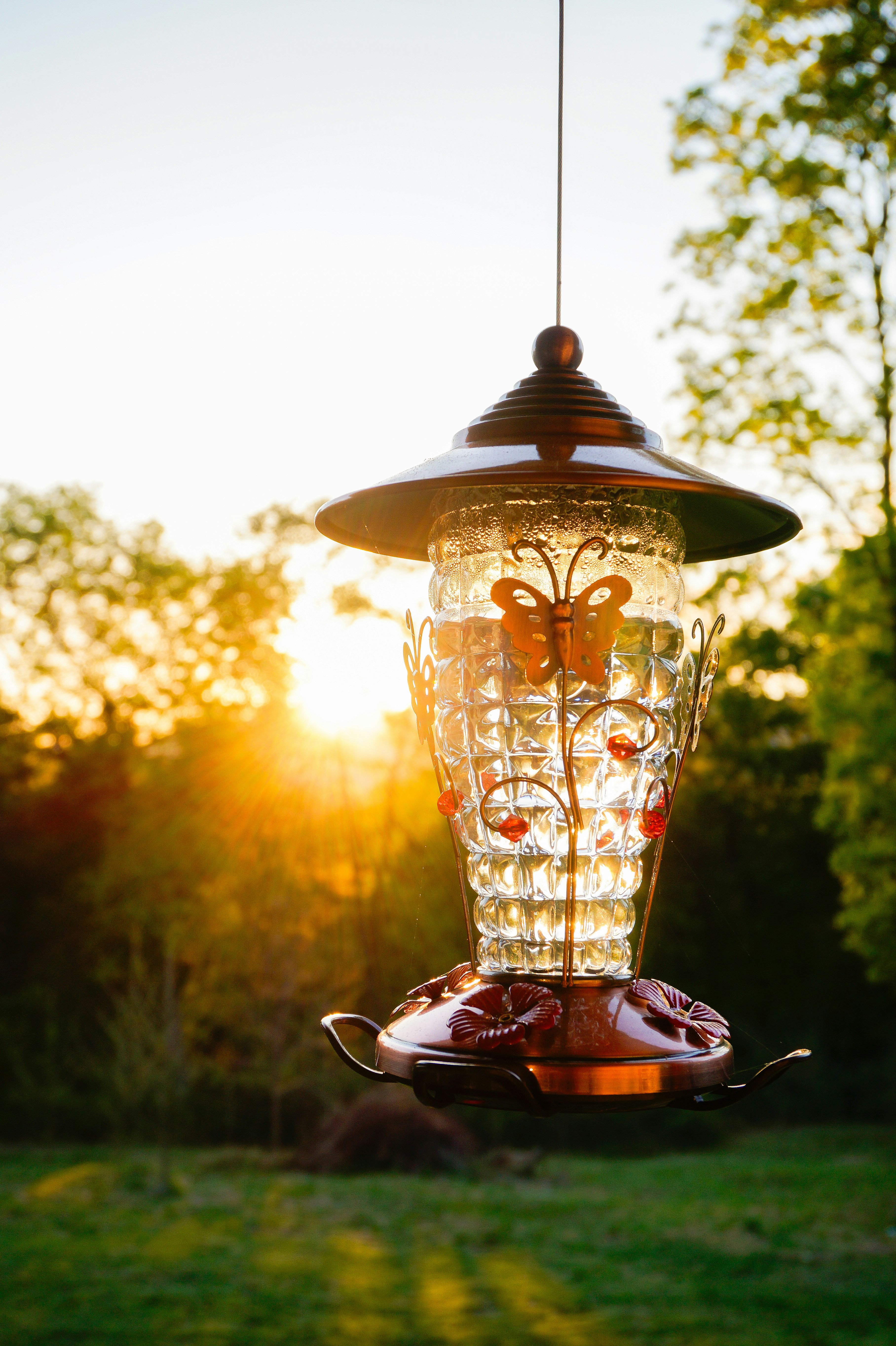 Hanging Lantern in golden-hour glow