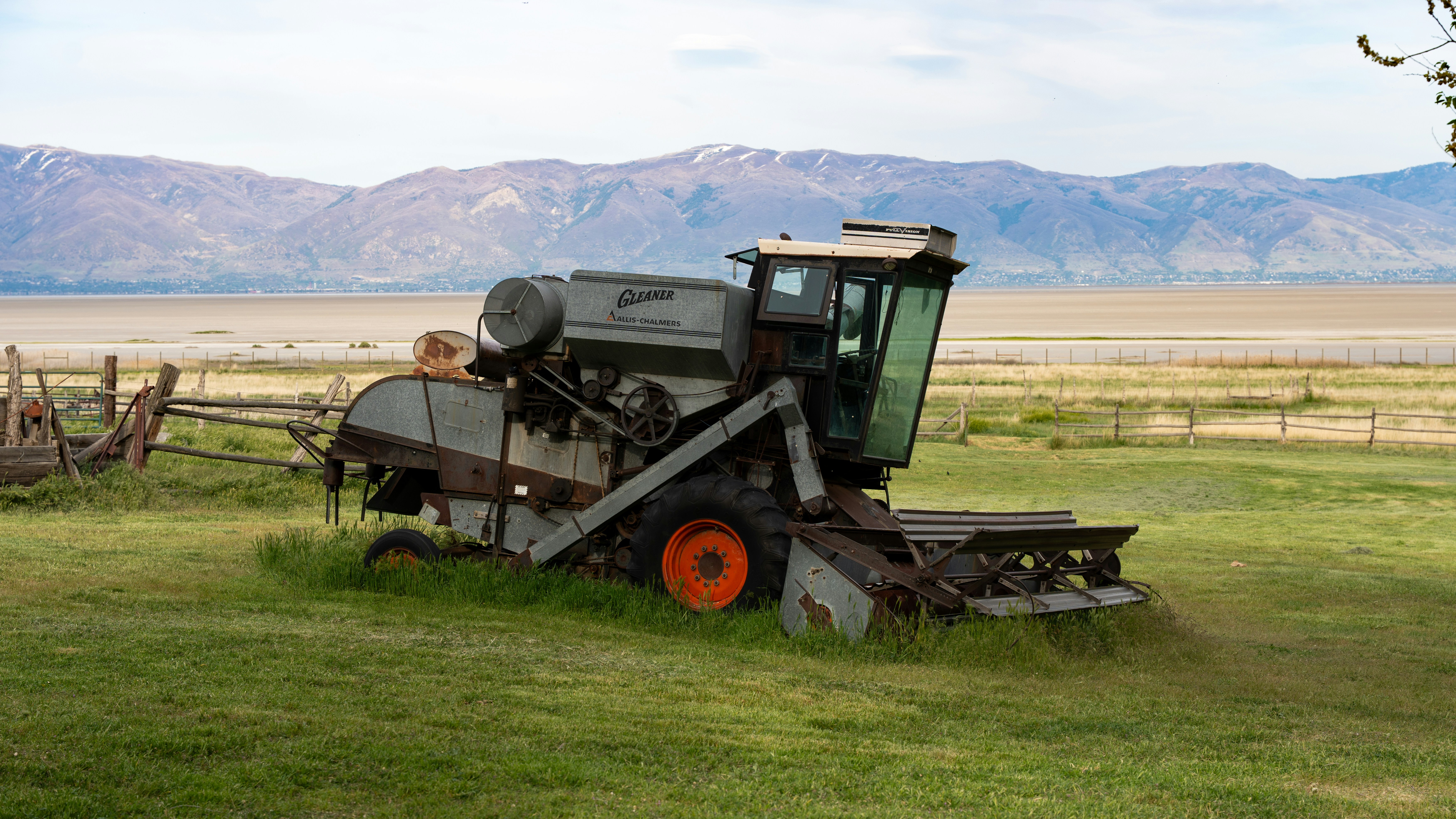Resting Harvester in a Quiet Valley