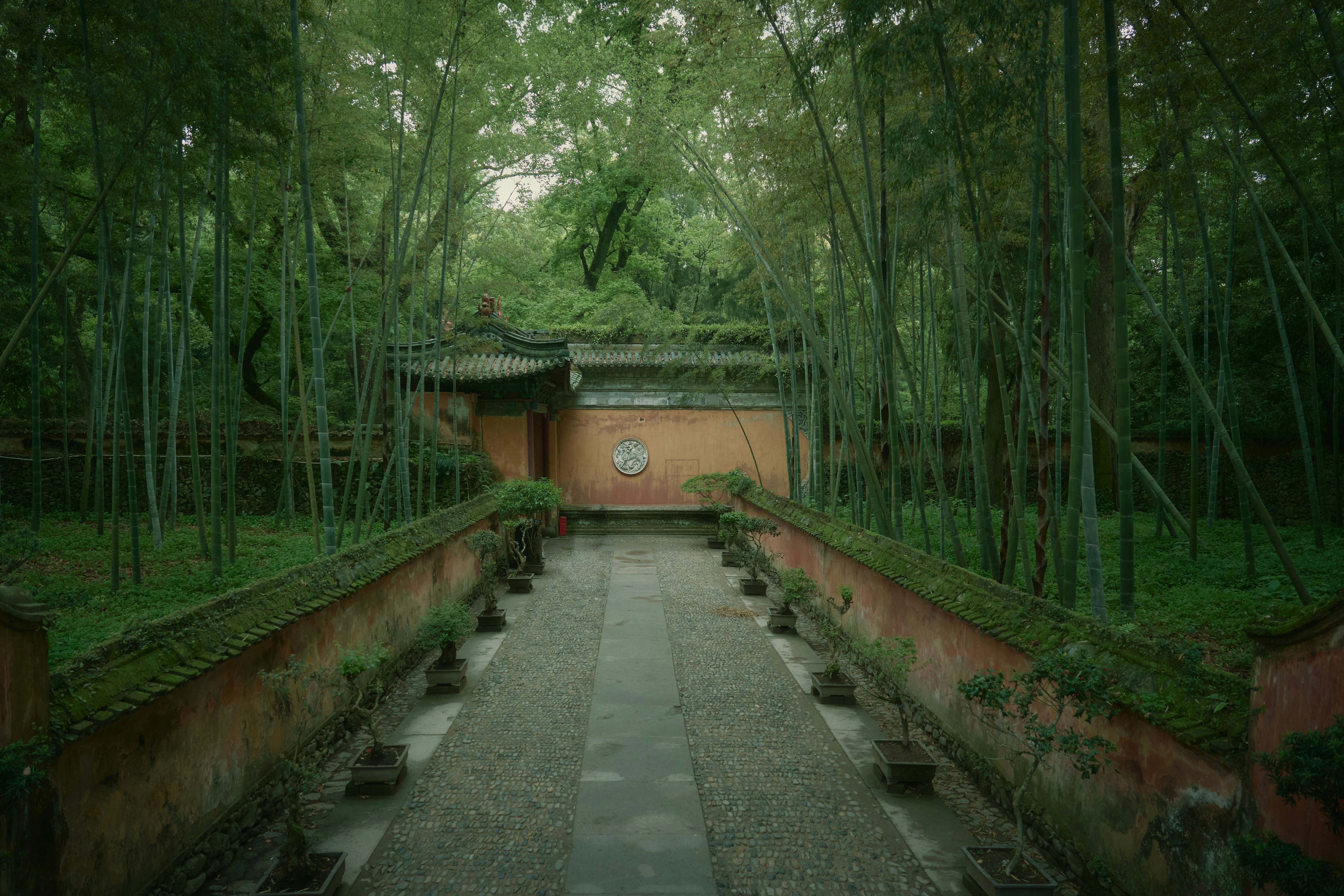 Path to Tranquil Gates: A Bamboo Corridor to Hidden Courtyard