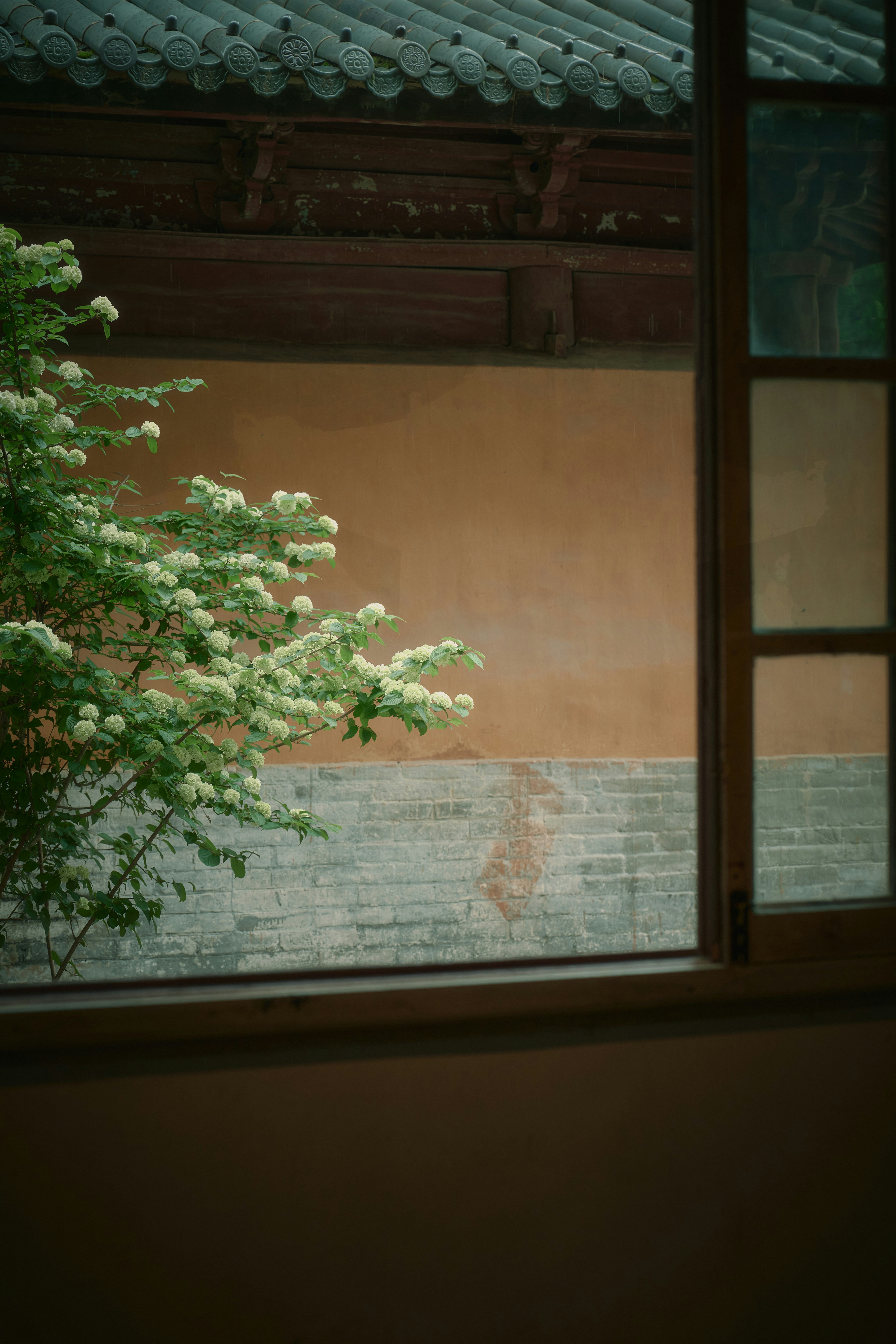 Hidden Courtyard Window: A Quiet Corridor of Plant and Brick