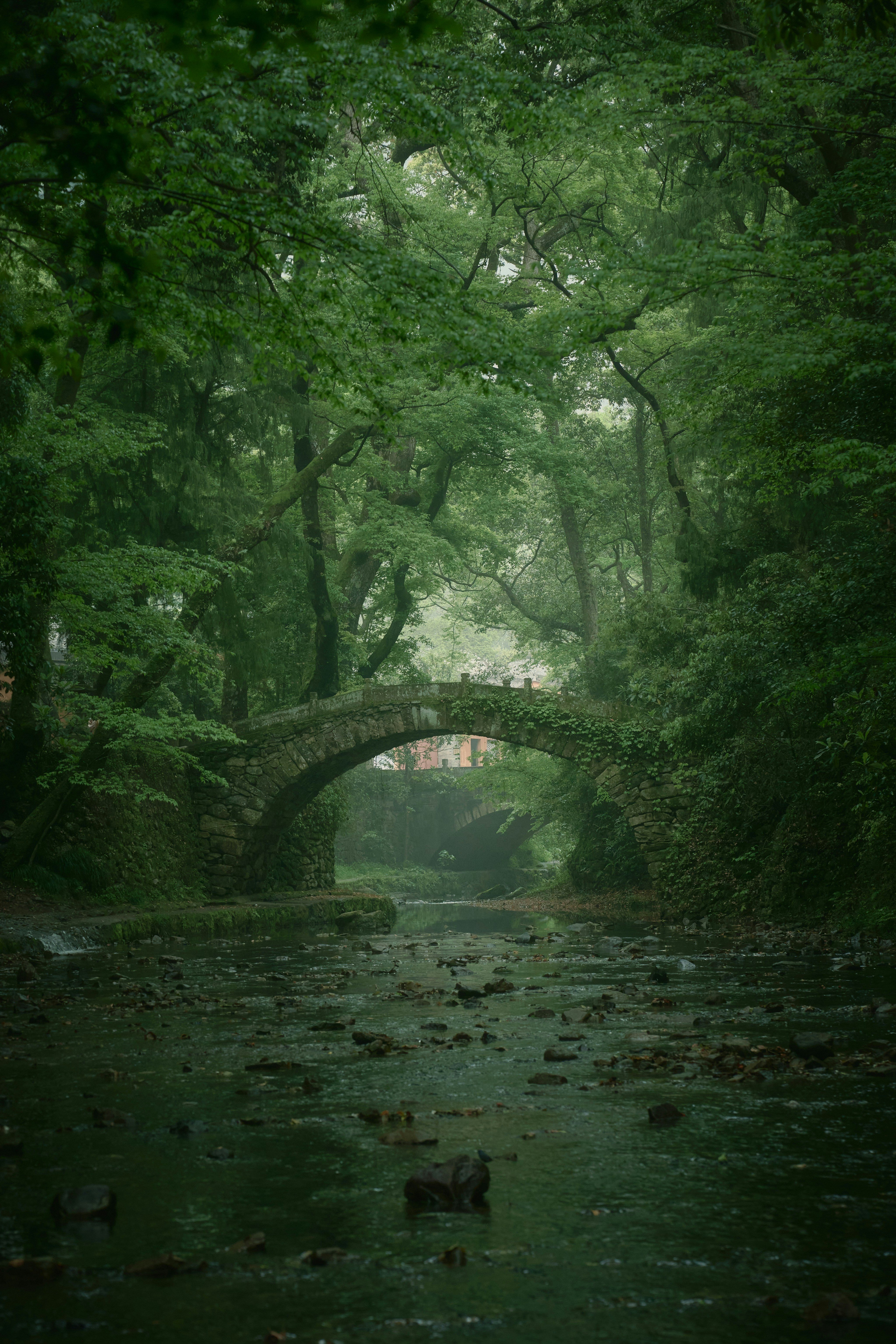 Emerald Arc: A Stone Bridge Framing a Quiet River in Forest Dawn