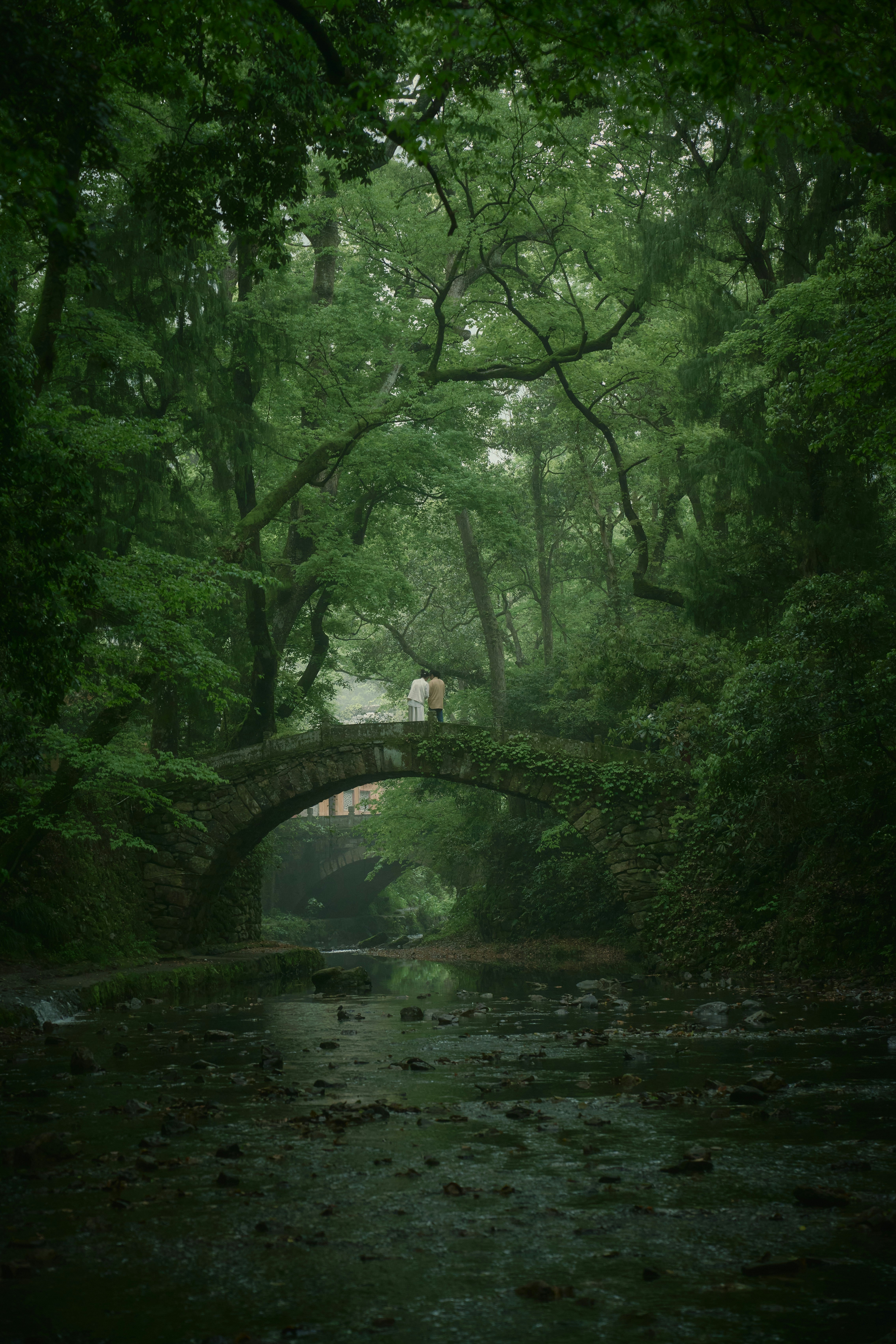 Whispers Across the Mossy Arch