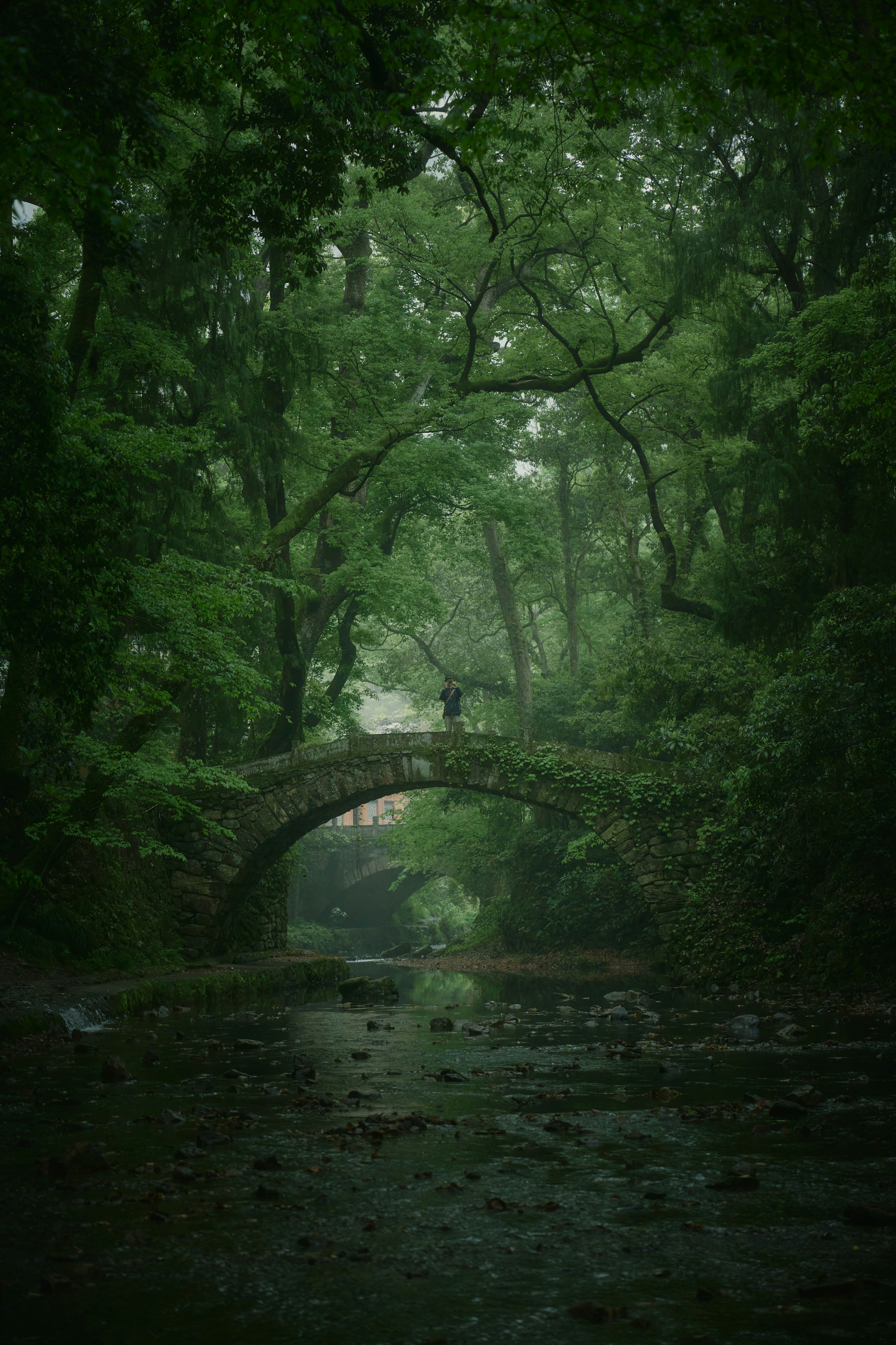 Bridge Over Quiet Green: A Lone Figure in a Misty Woodland Arc