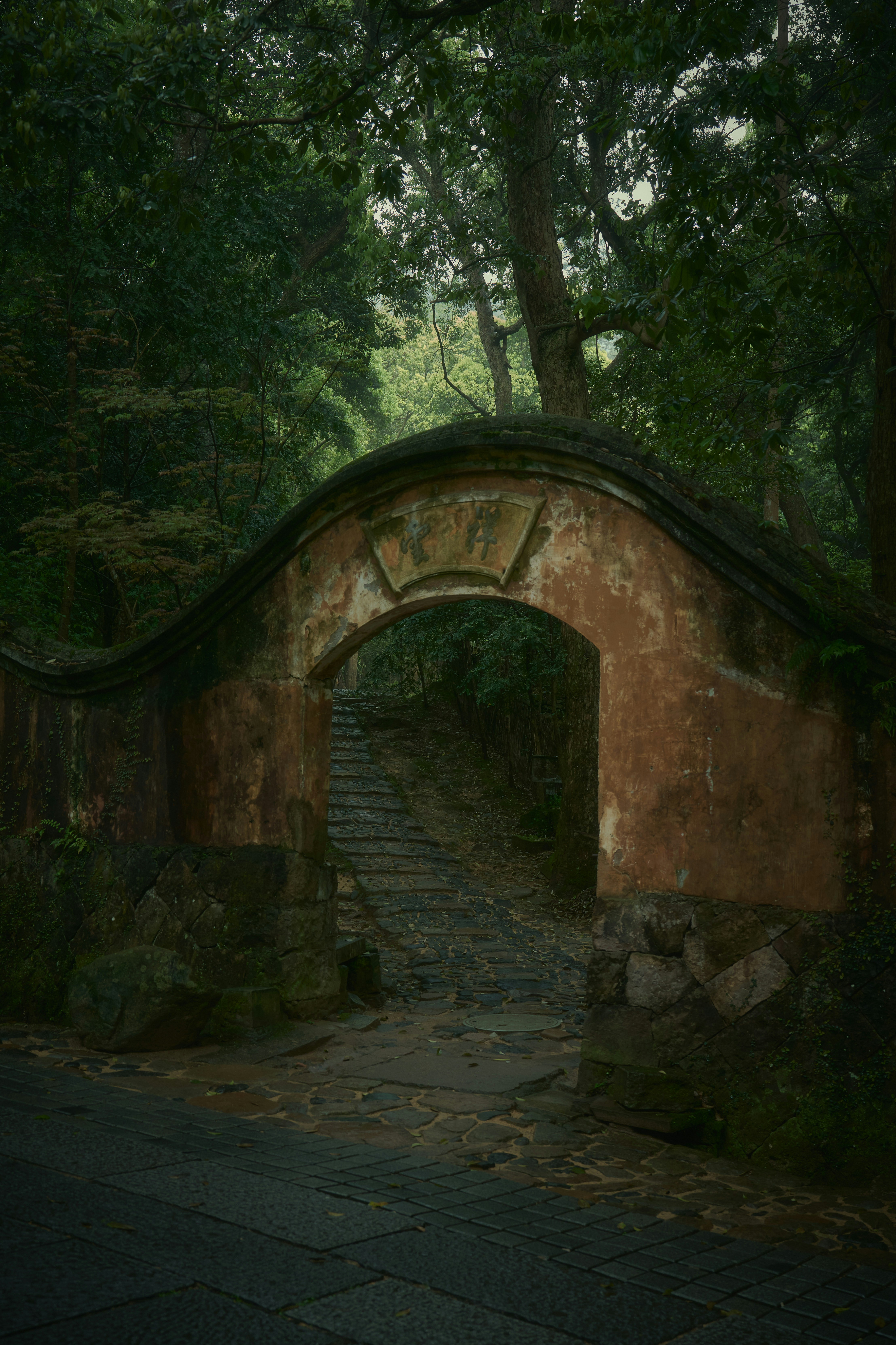 Verdigris Gate in the Forest: An Archway Path Through Time