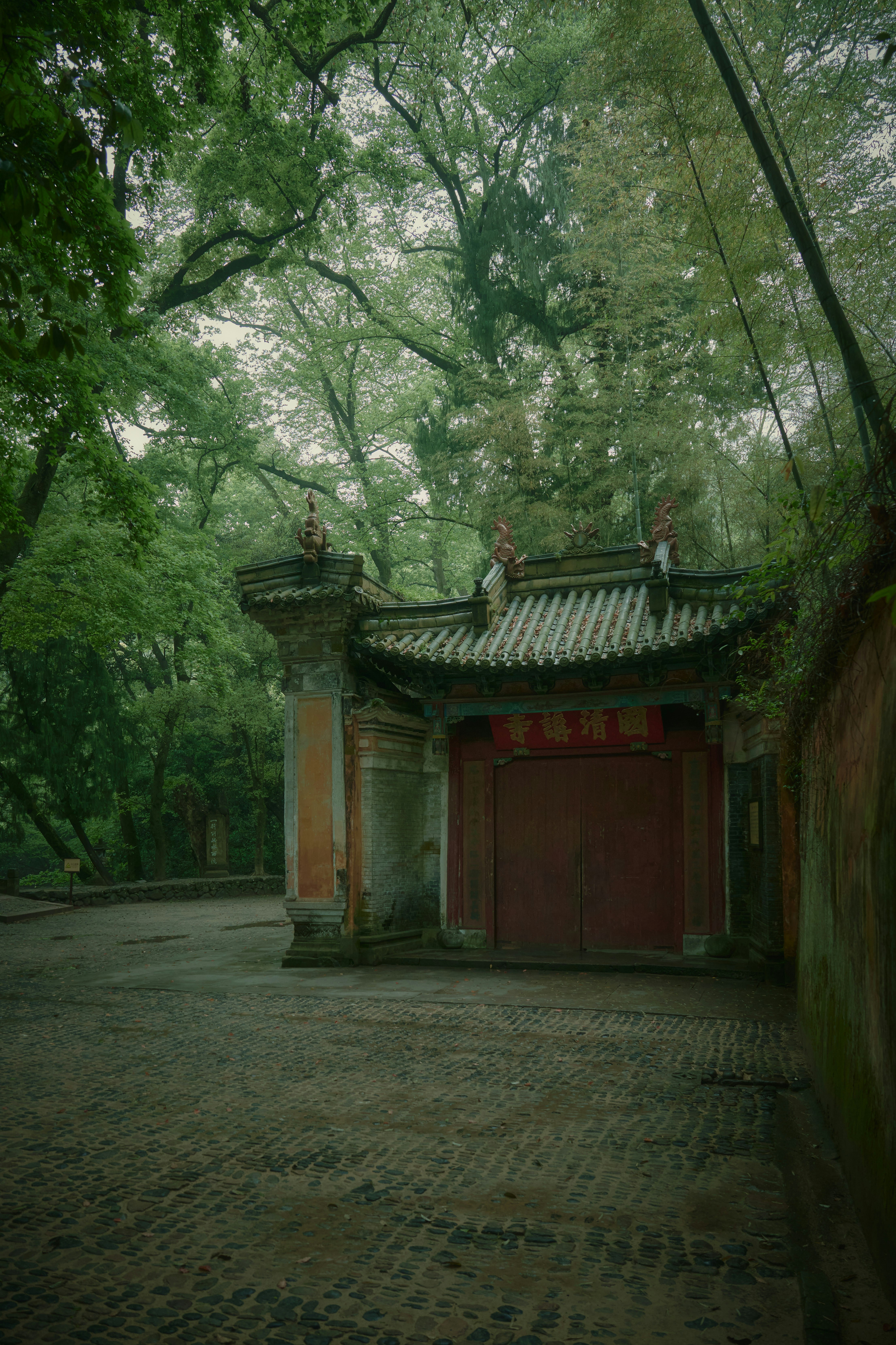 Gate in the Green Cloak of the Forest