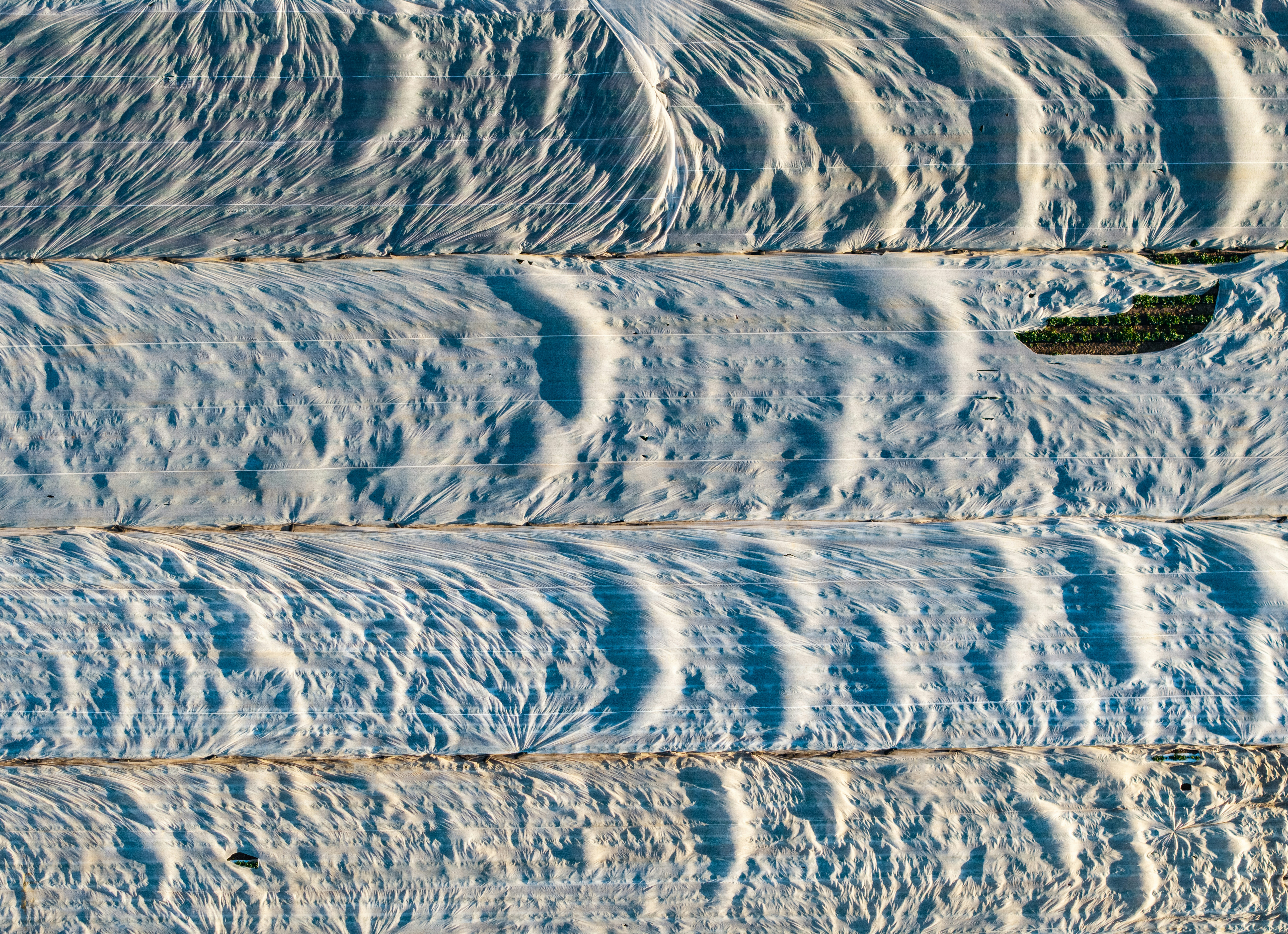 Snow-Crafted Ridges: A Drone's Eye Through Striated Ice