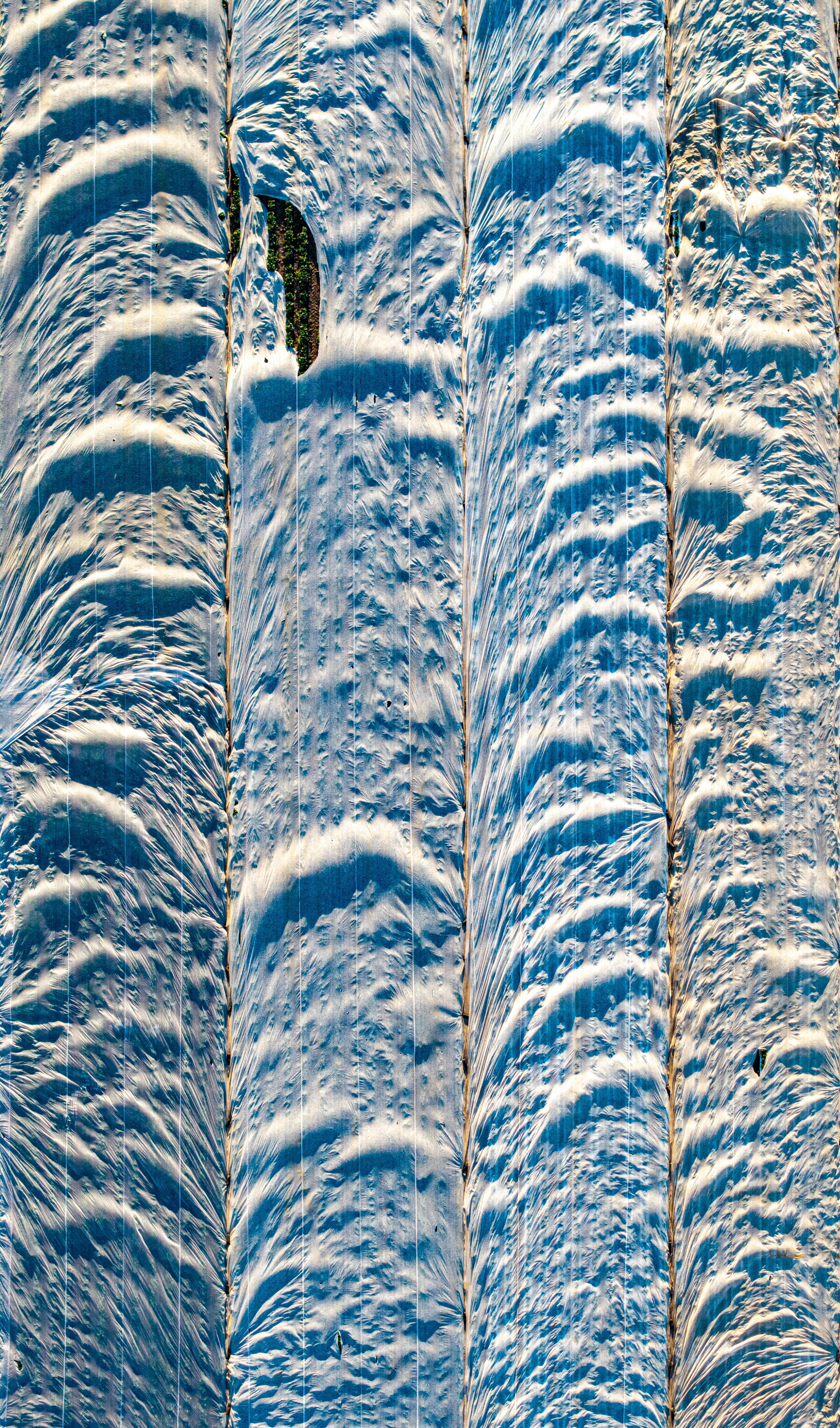 Blue-ribbed Icefields: Aerial View of Serpentine Snow Folds