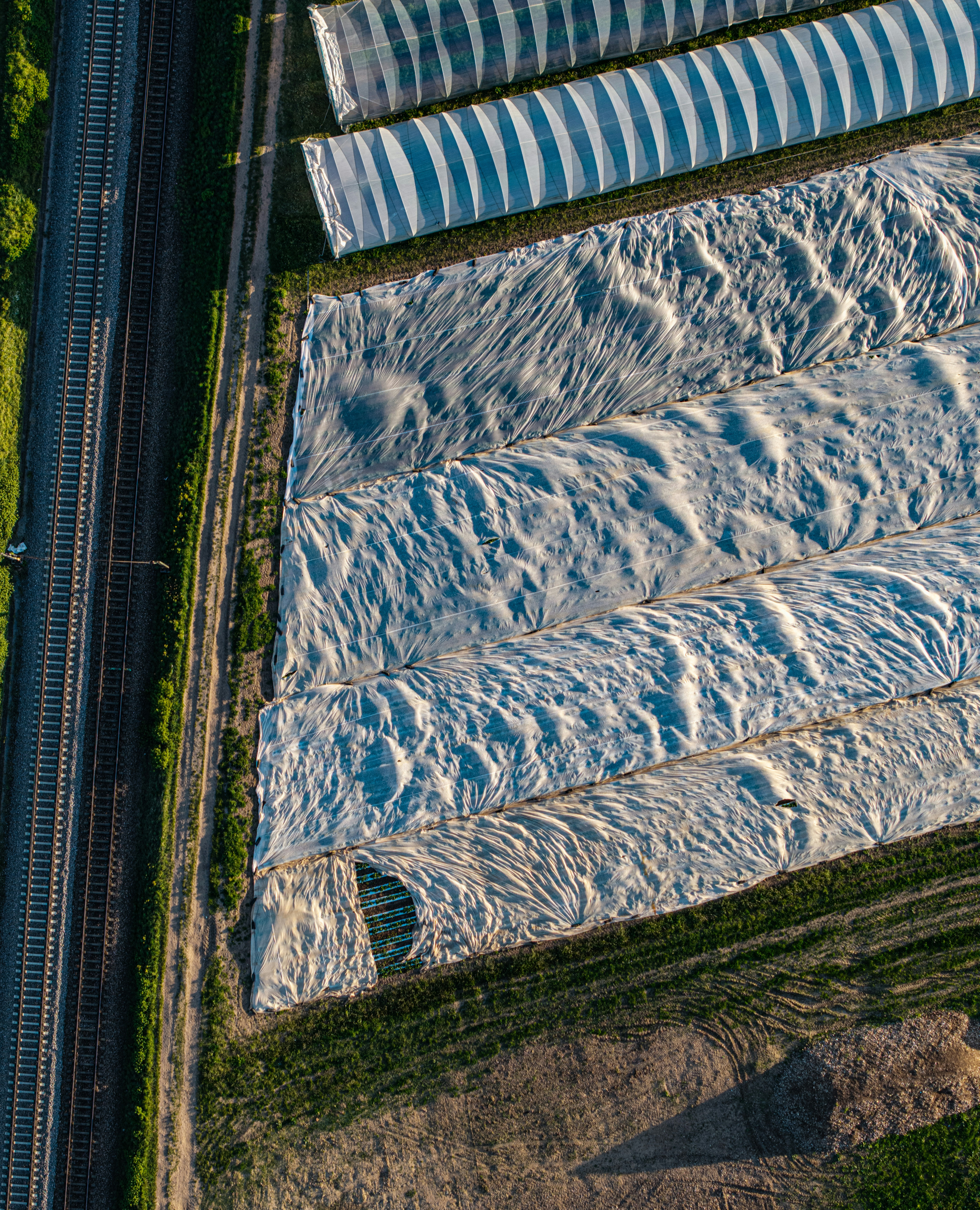 Aerial Grid: White Greenhouse Ridges from Above
