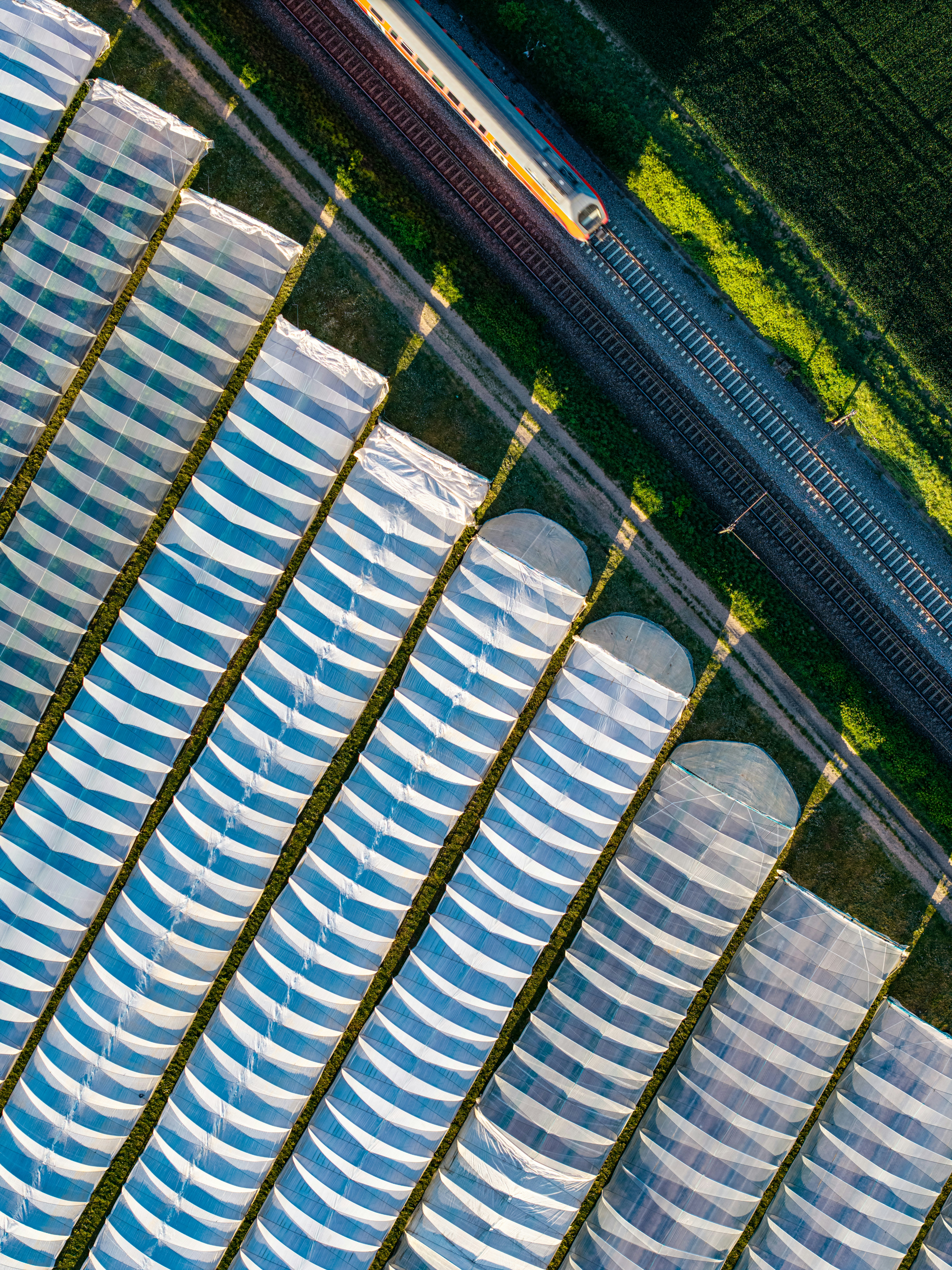 Aerial Overlook: Greenhouse Rows and Rails
