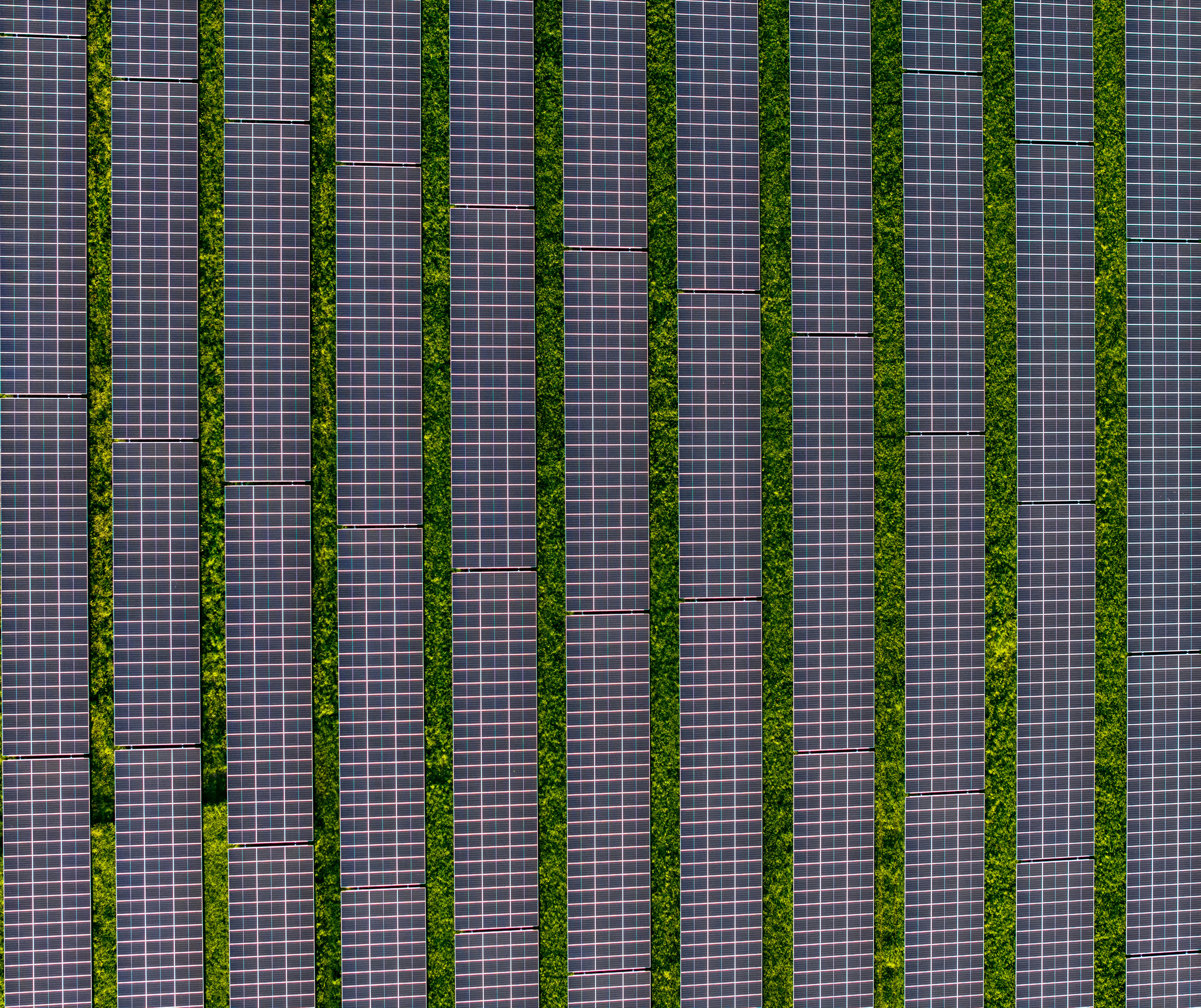Aerial view of a solar farm with green grass rows.