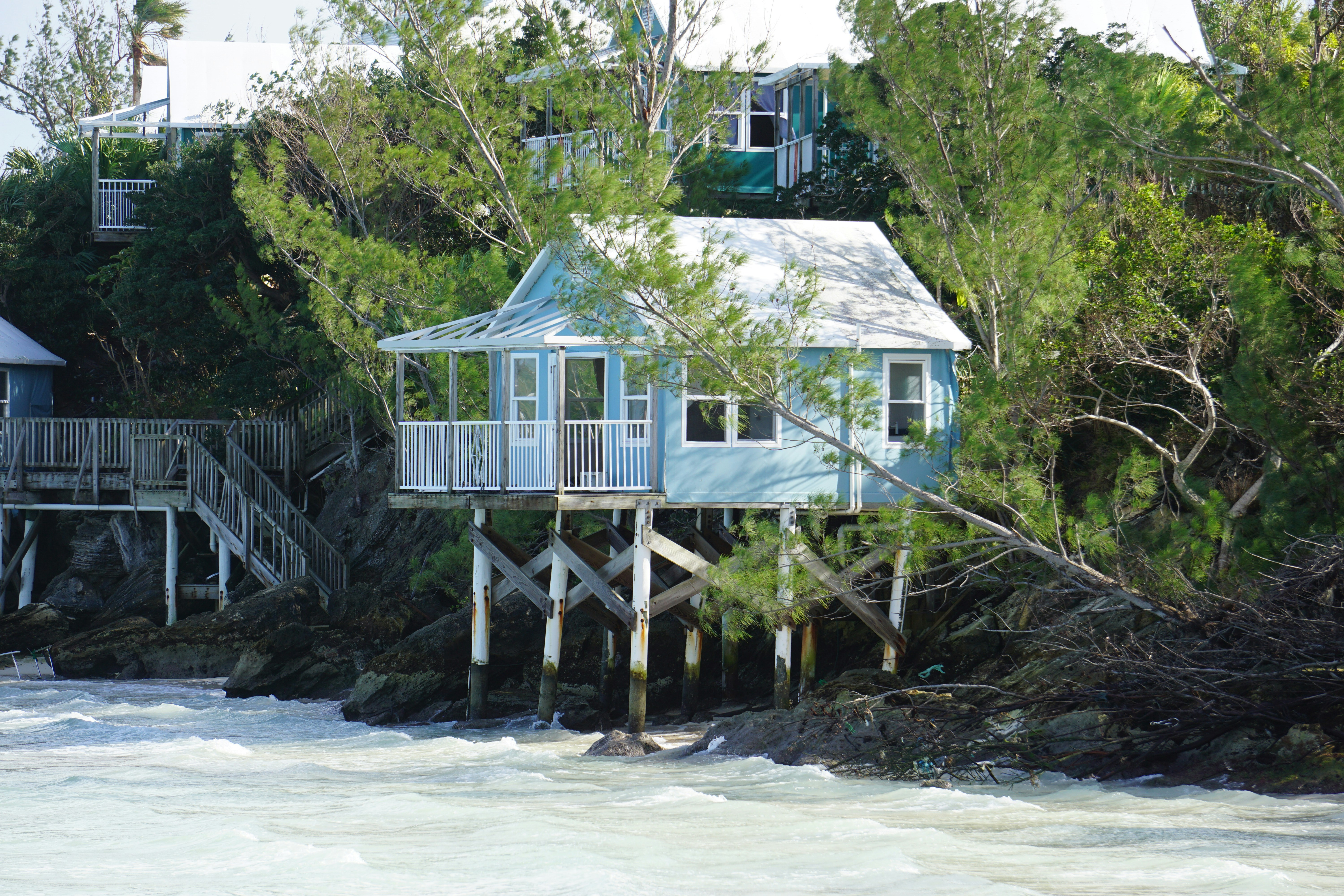 Sea-front Cabin on stilts: a coastal retreat framed by driftwood and trees