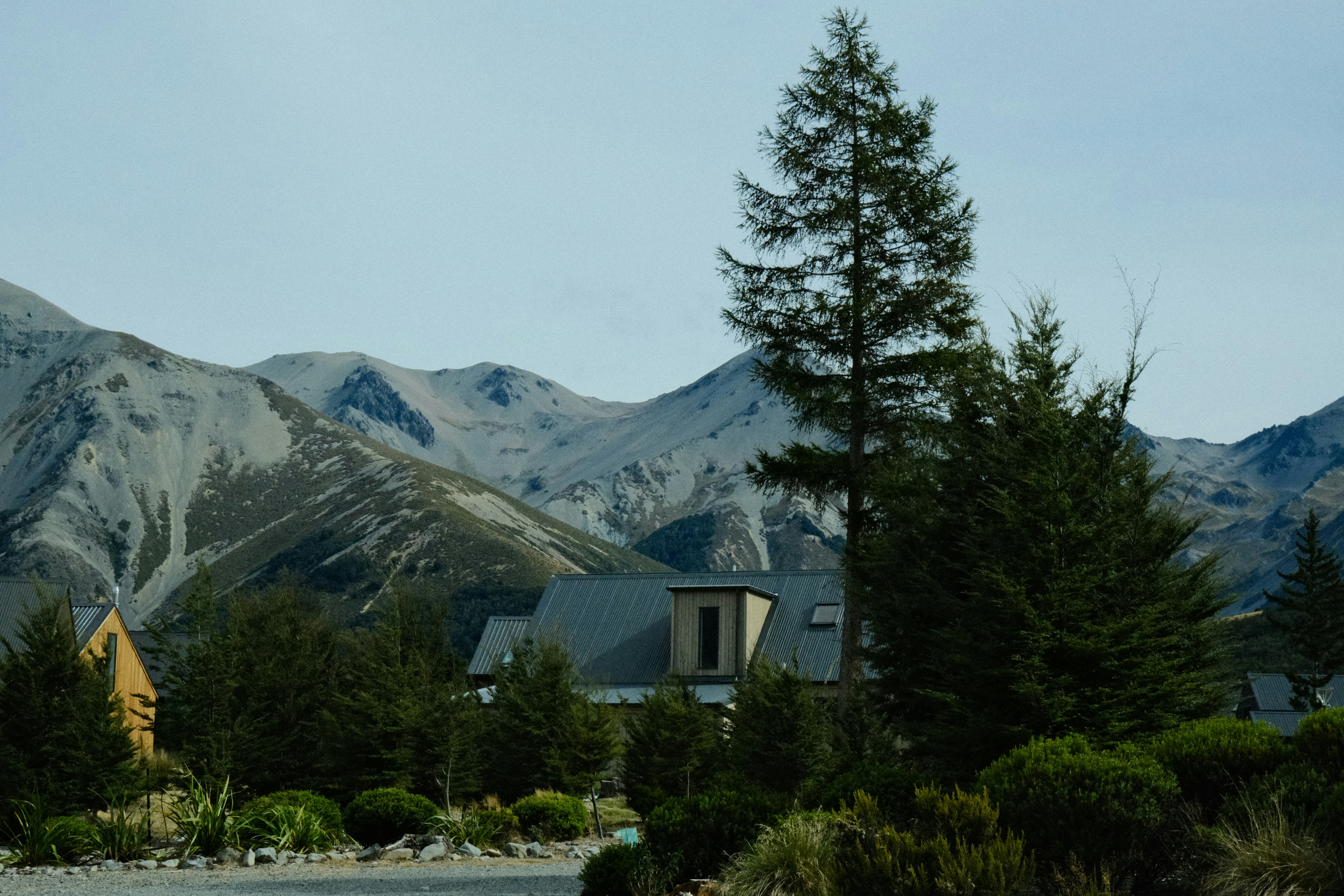 Mountain Village Among Pines at Dusk