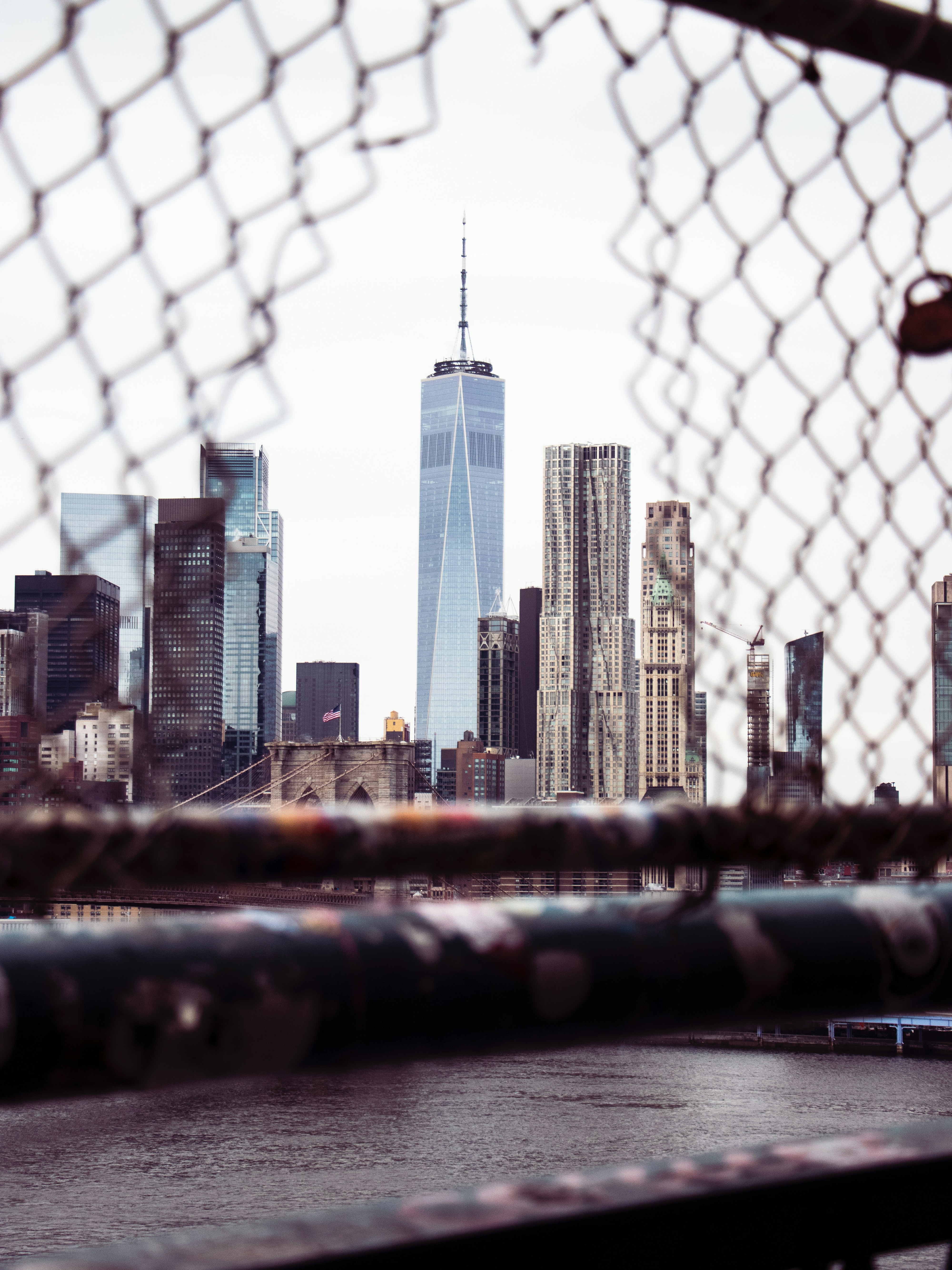 Framed by Chain-Link: City Skyscrapers Rising Over a Quiet Waterfront