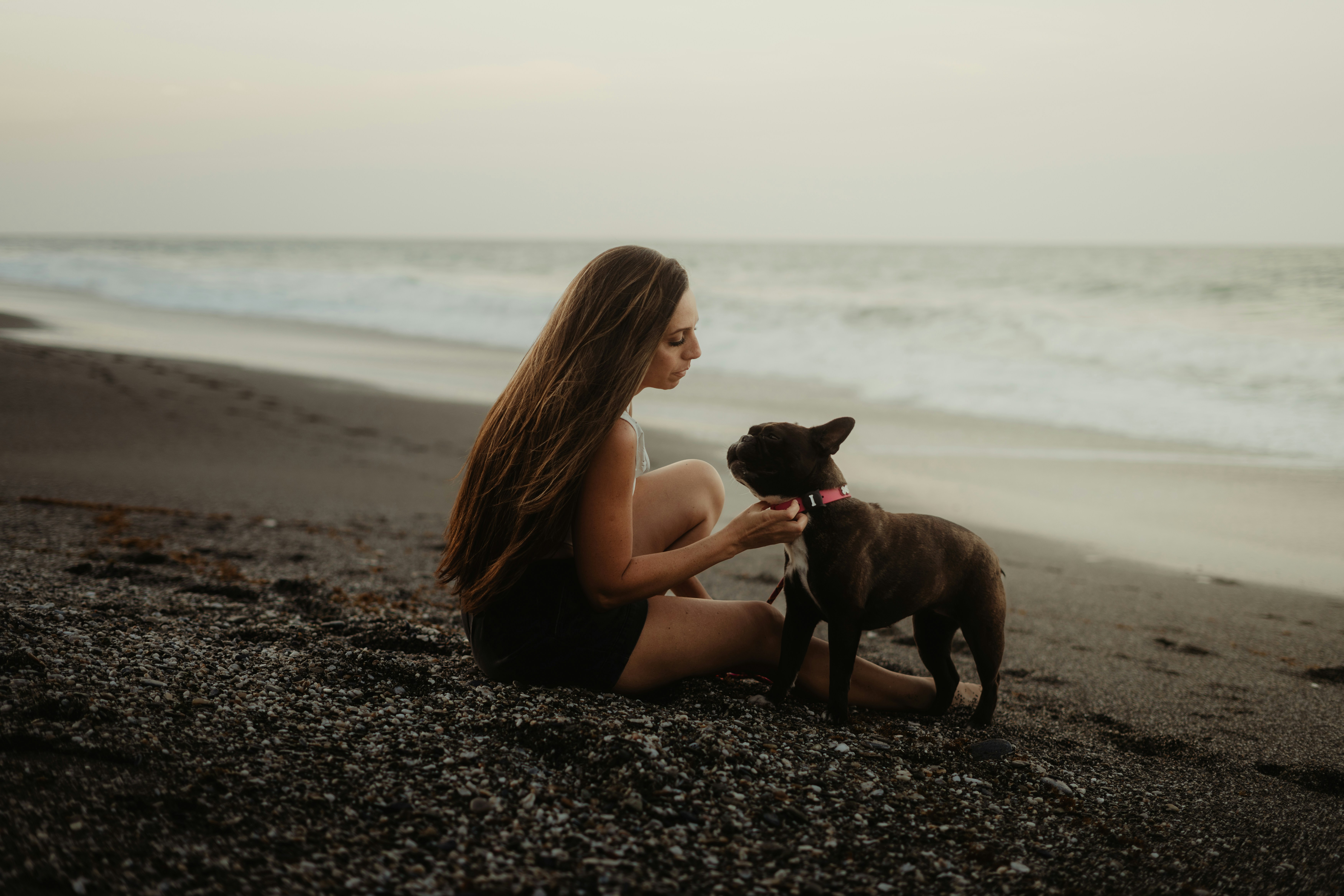 Quiet Beach Moment: Woman and Dog at Dusk