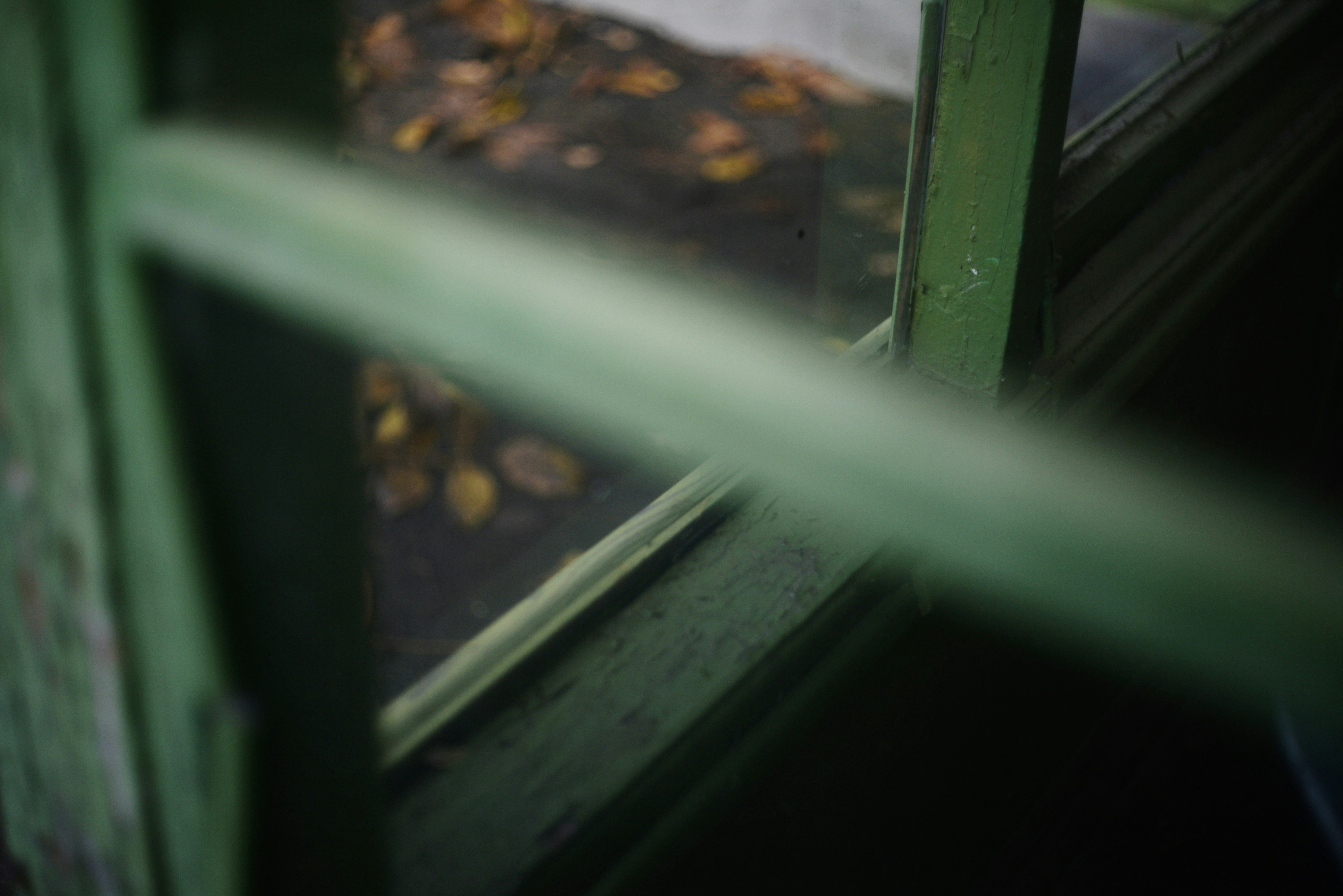 Green Frame, Dark Quiet: A Close Look at Weathered Window Slats