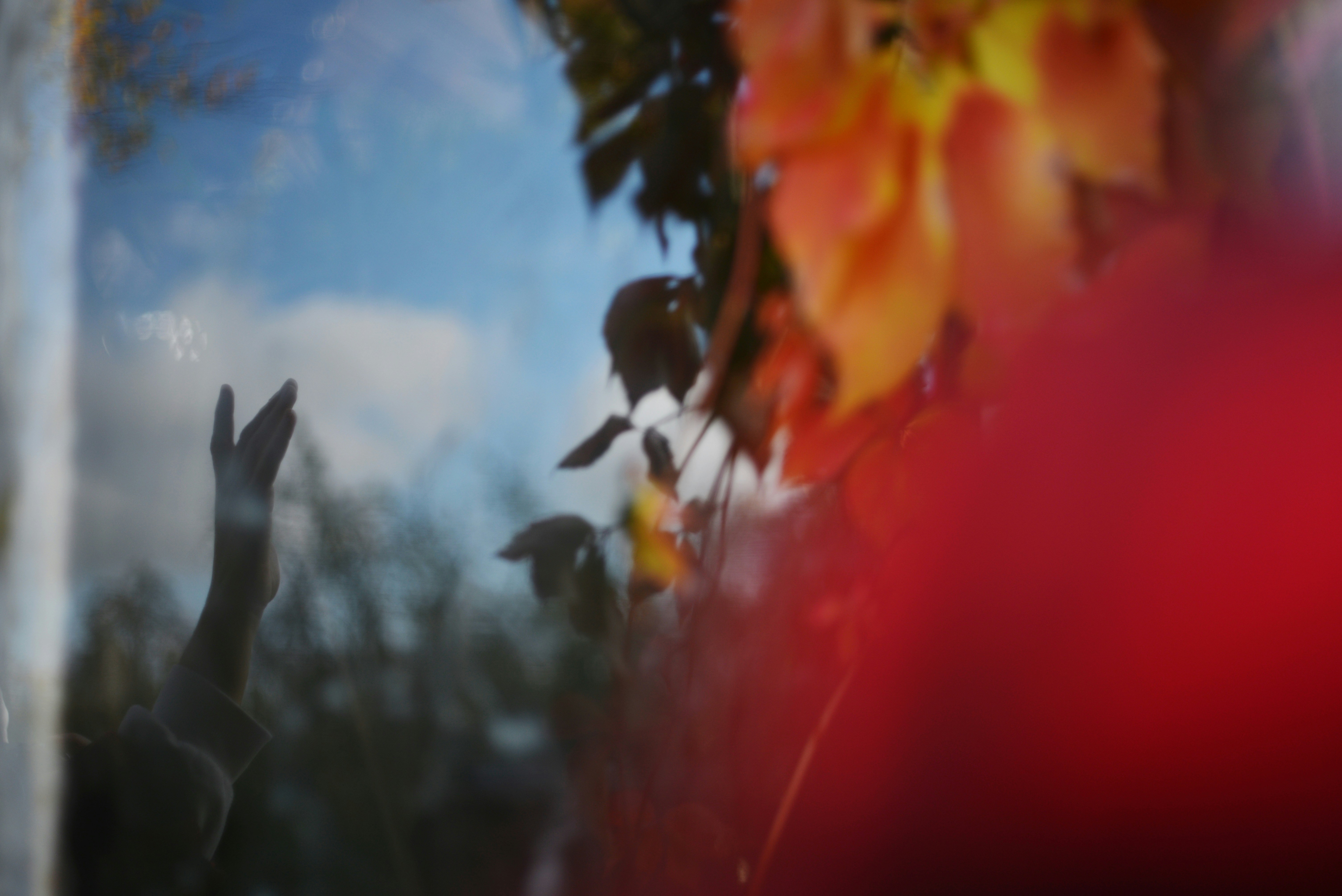 Reflected Hands Amid Autumn Veil