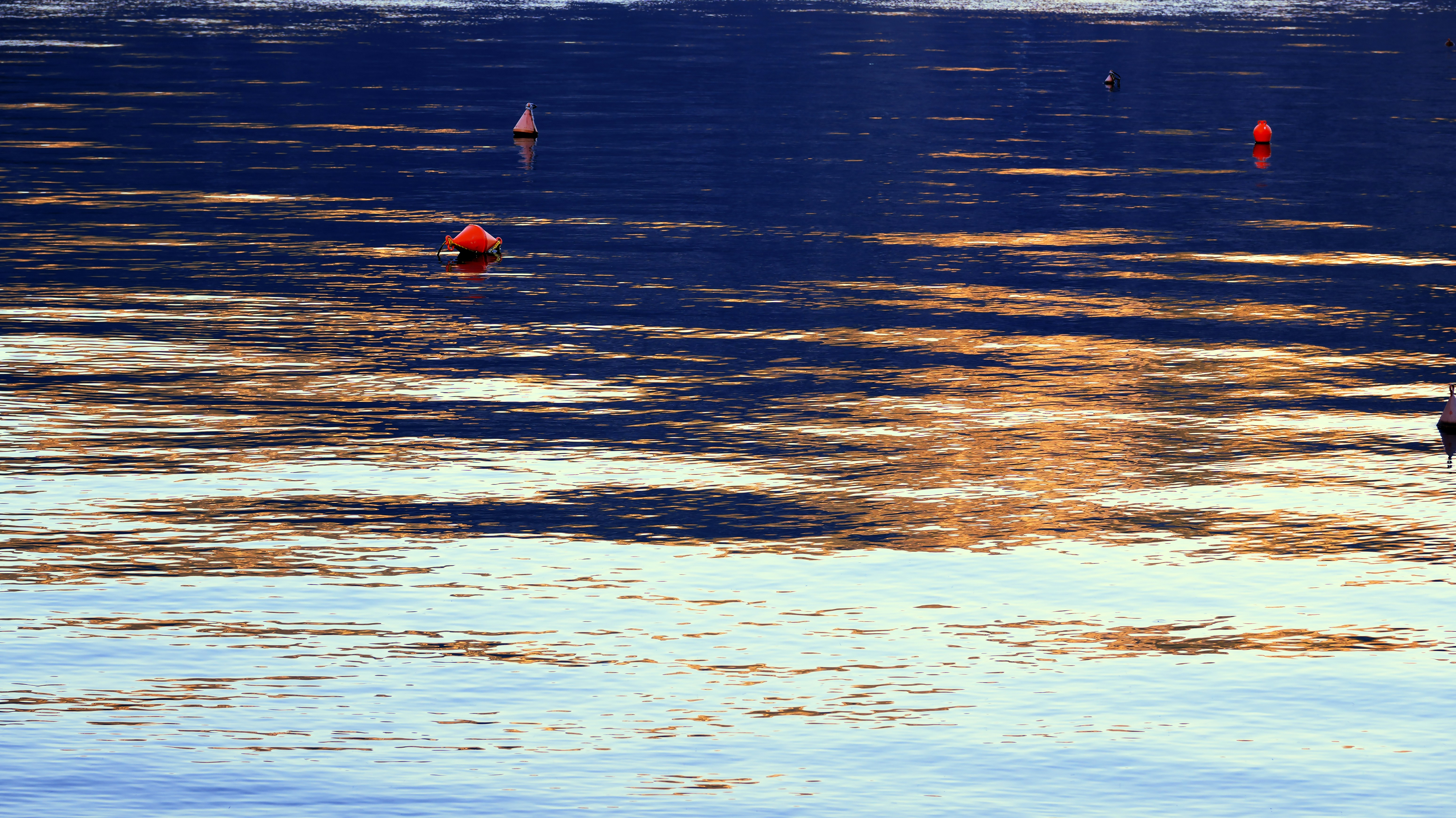 Reflections on a Quiet Water Surface