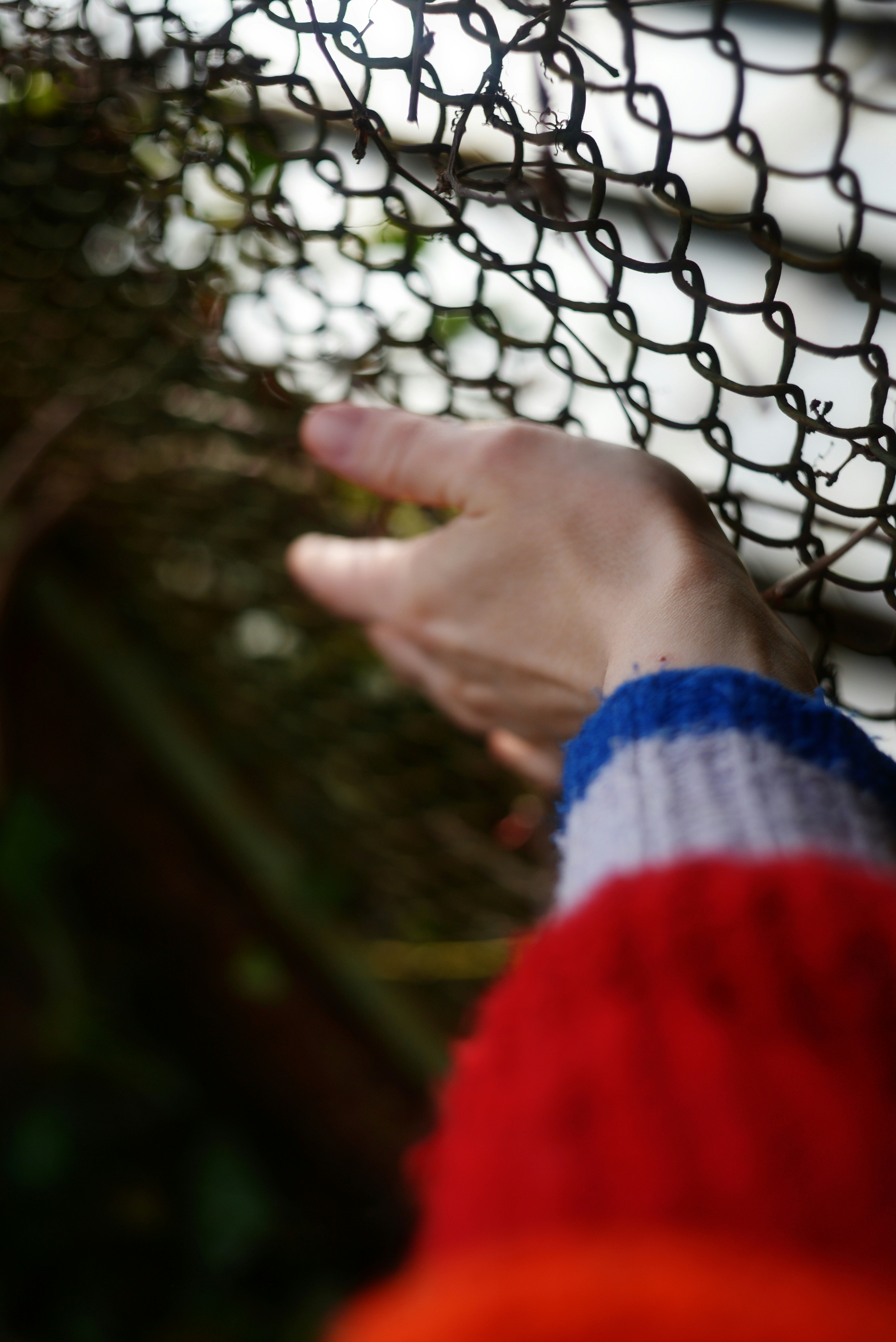 Hand Reaching Through a Chain-Link Barrier