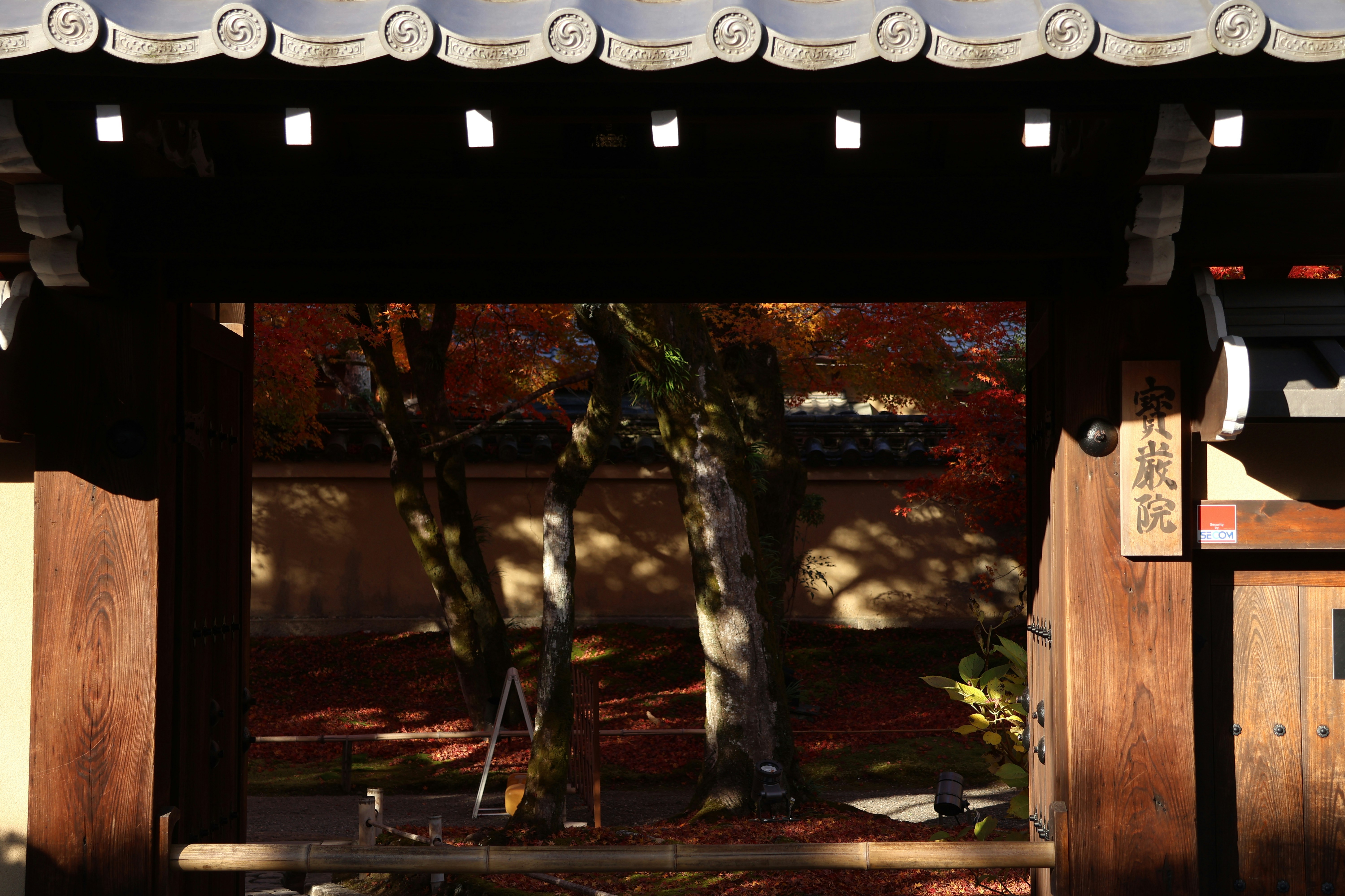 Autumn Gate: Light Through a Sacred Threshold