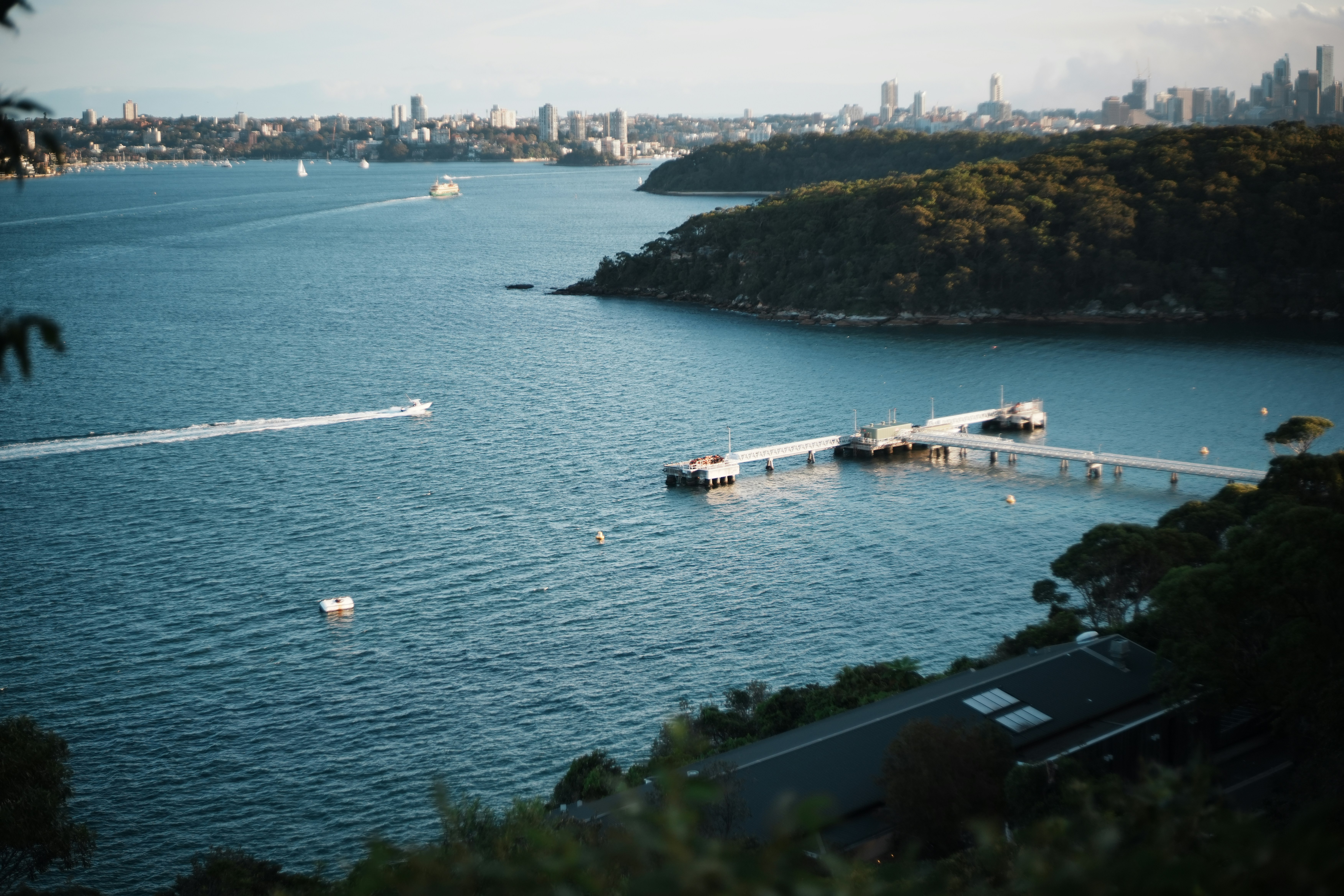 Harbor Snippet: A Quiet Coastal Scene By the Jetty
