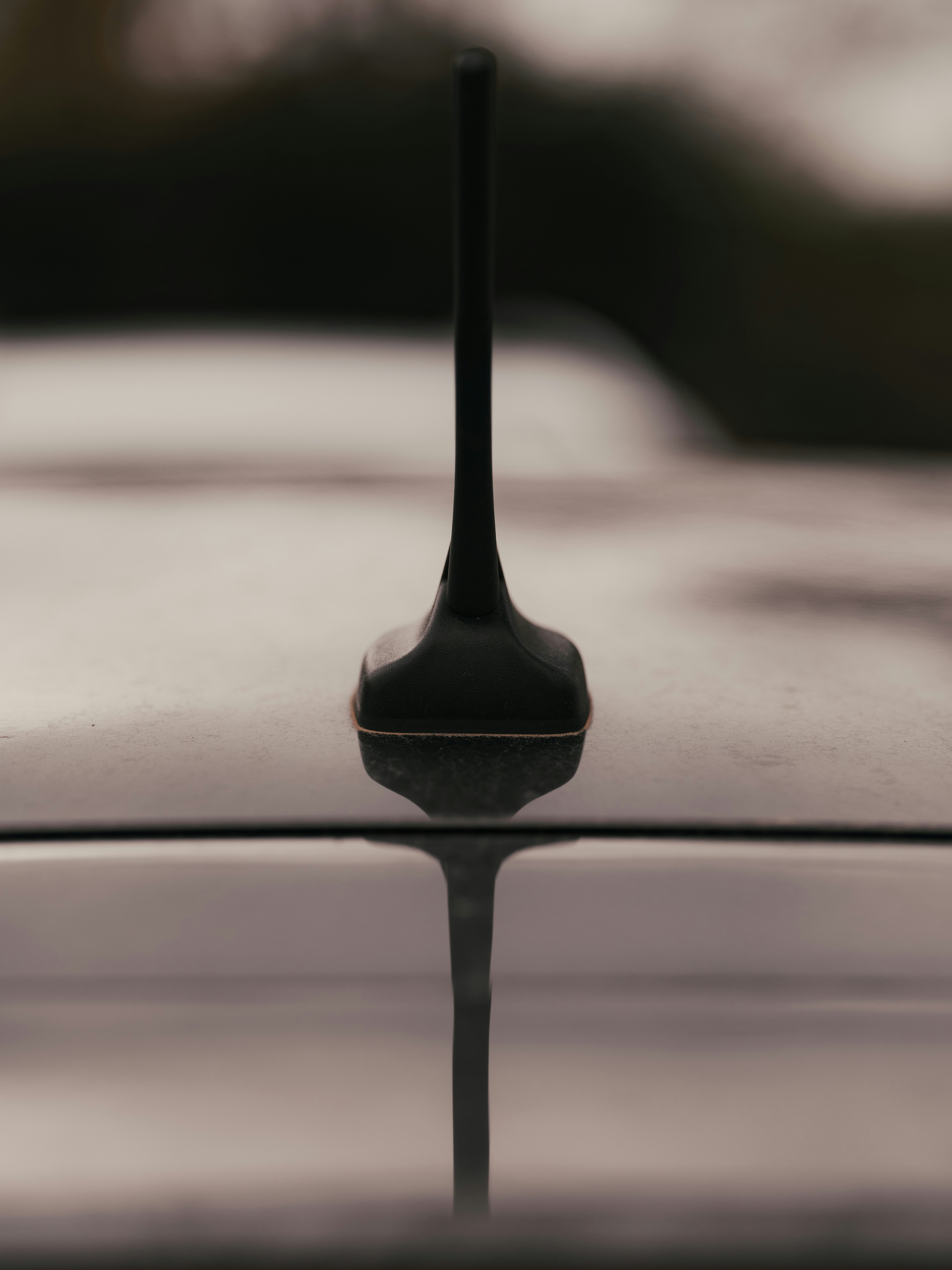 Centered Antenna Silhouette: A Quiet Reflection on Surface Symmetry