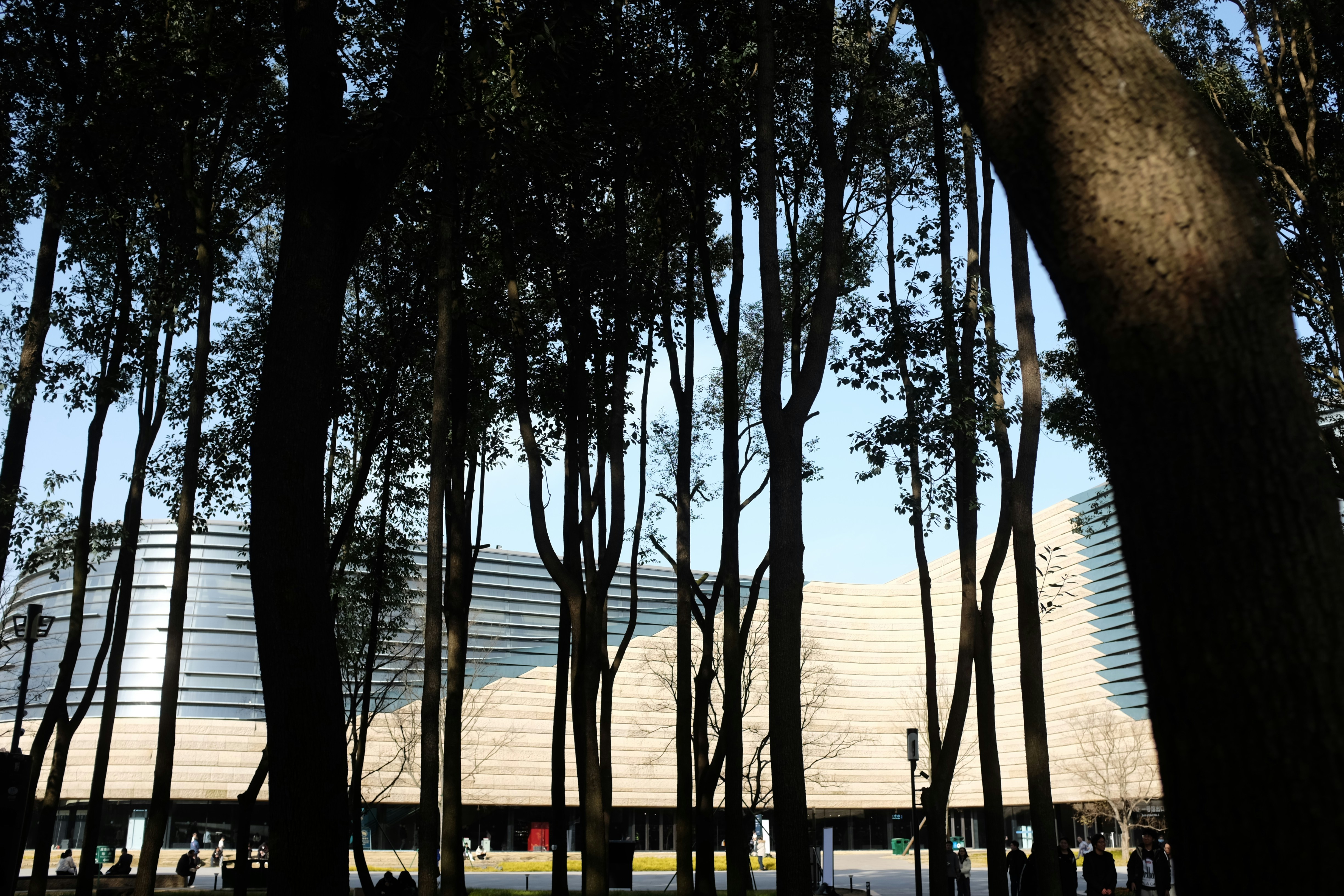 Shade at the Glassed Facade