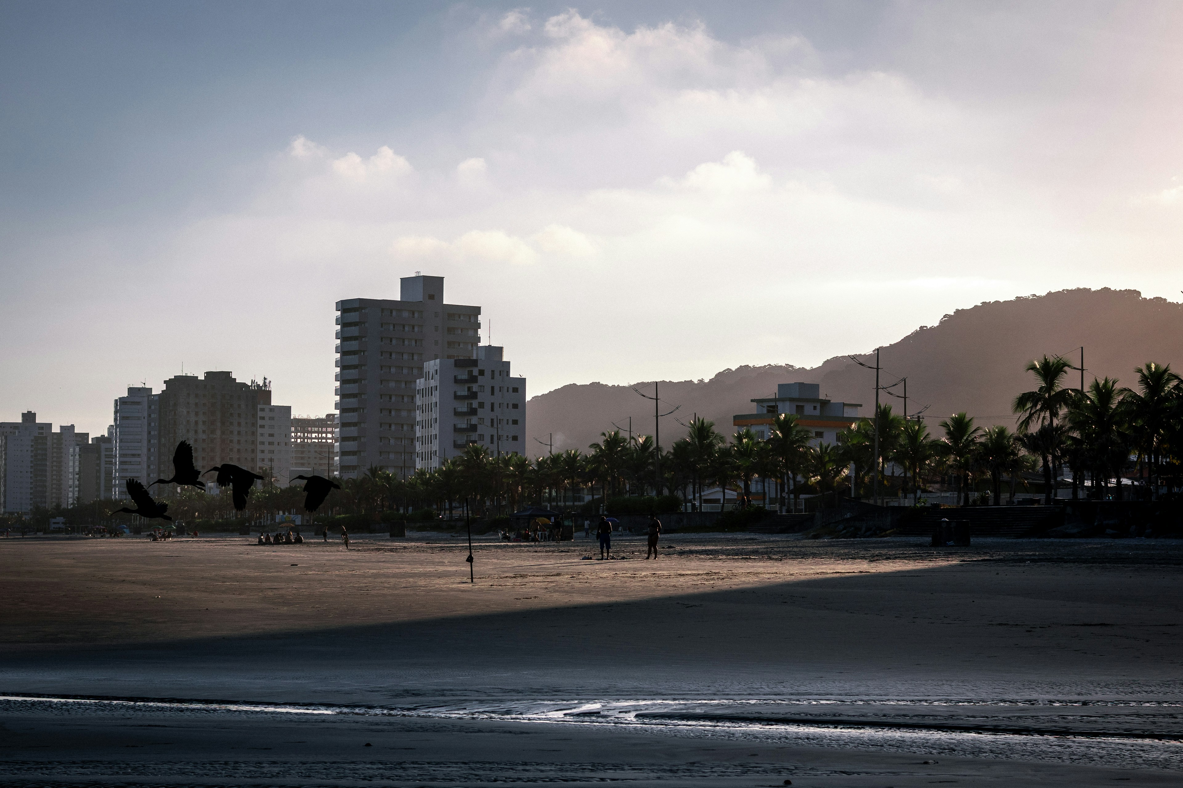 Dusk on the Coral Coast: Beachfront silhouettes and distant cityscape
