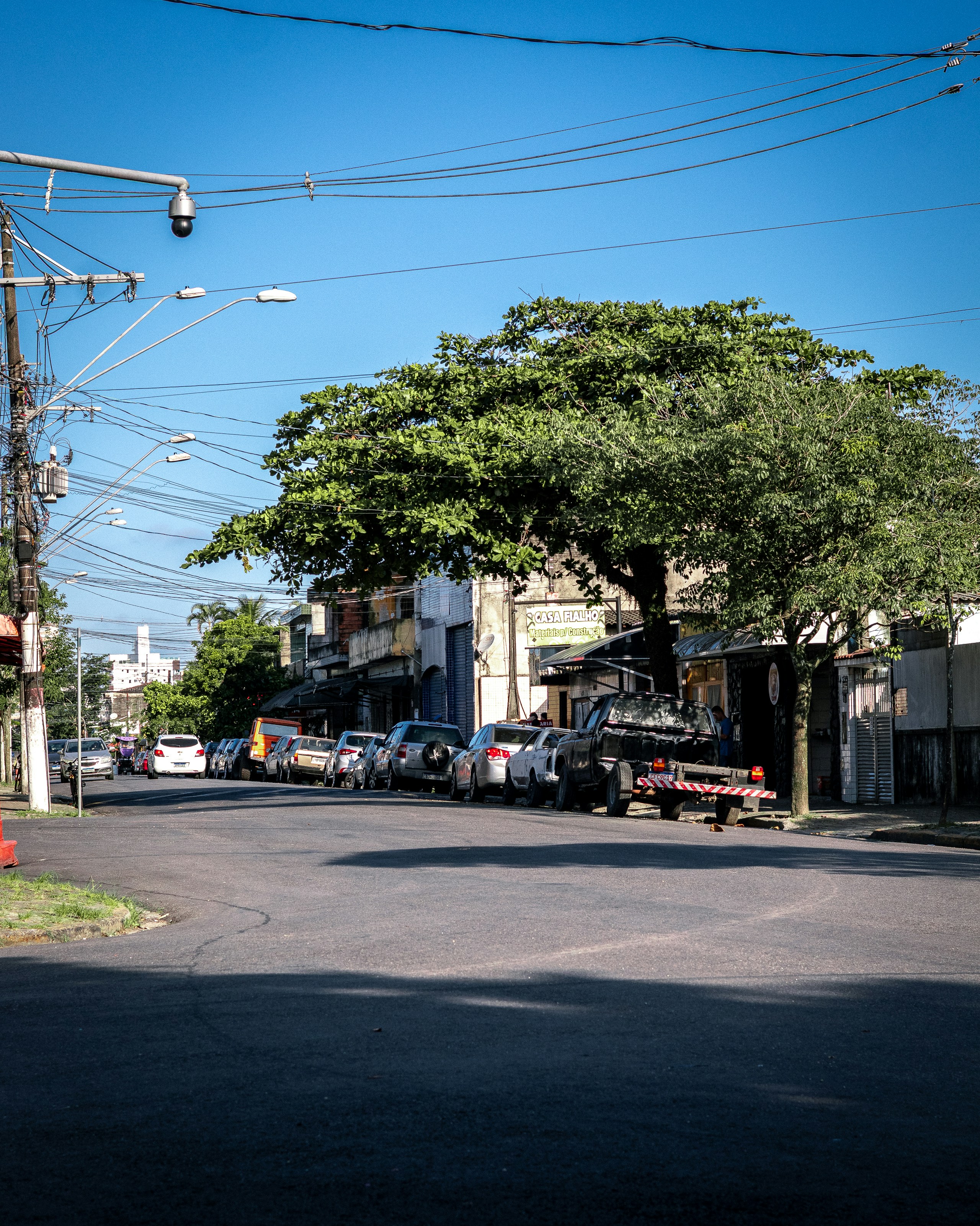 Tree-Shaded Street: Morning Light Over a Quiet Neighborhood