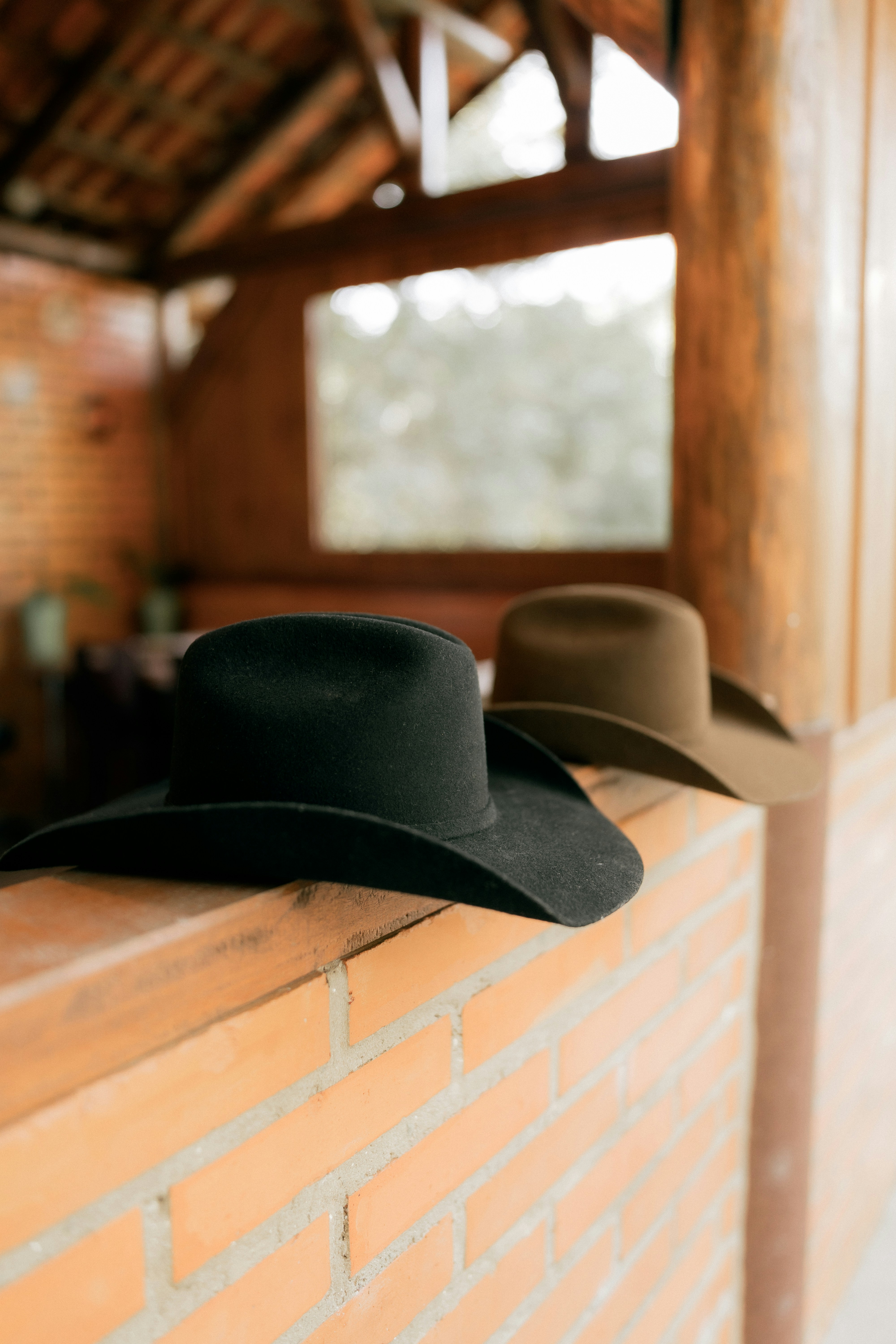 Hats on a Brick Balcony: Quiet Row of Fedora Silhouettes