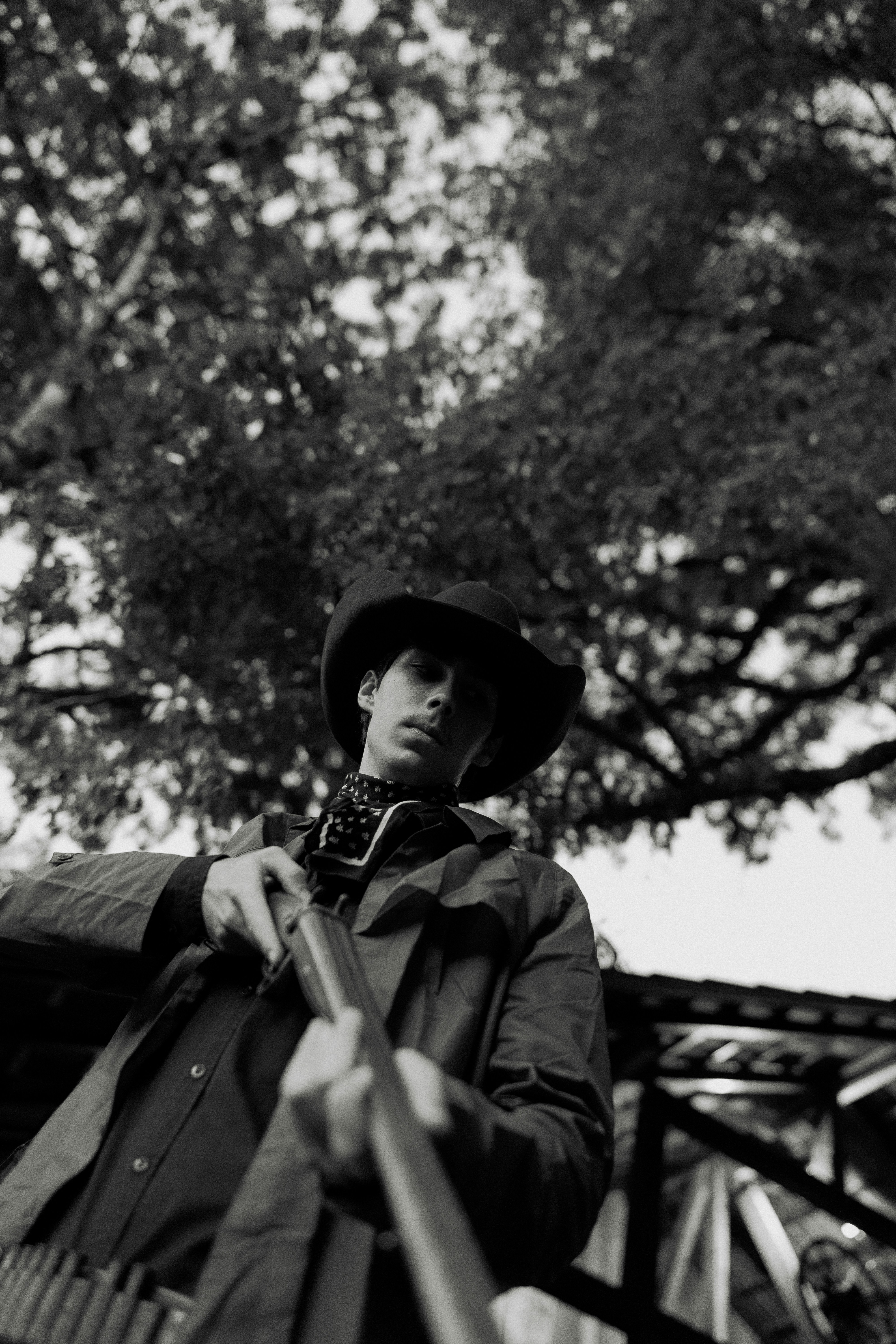 Rifle Silhouette: A Cowboy's Gaze Beneath The Oaks