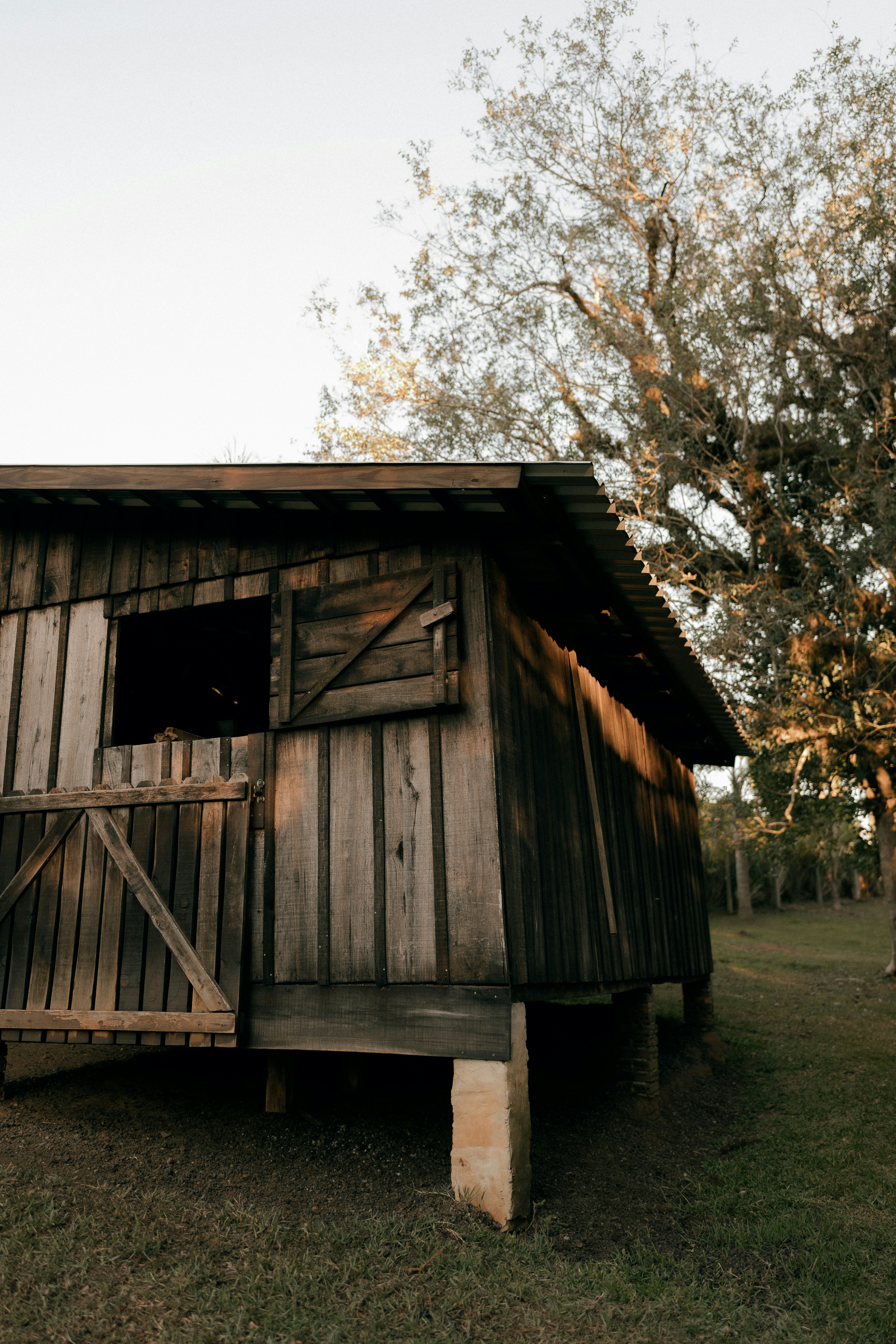 Weathered Cabin at Dusk