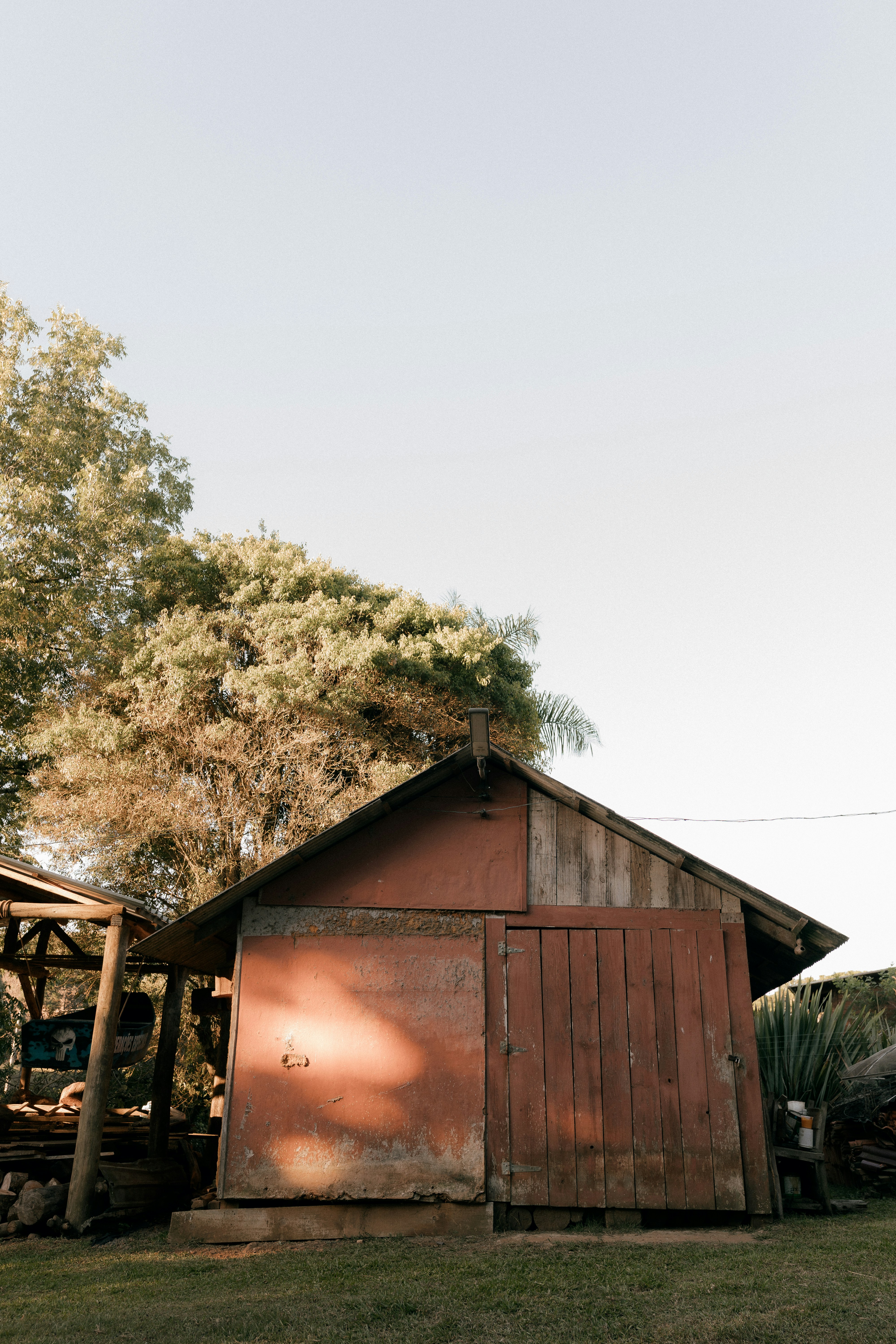 Rust and Roots: A Sunlit Shack Stands Against a Quiet Yard