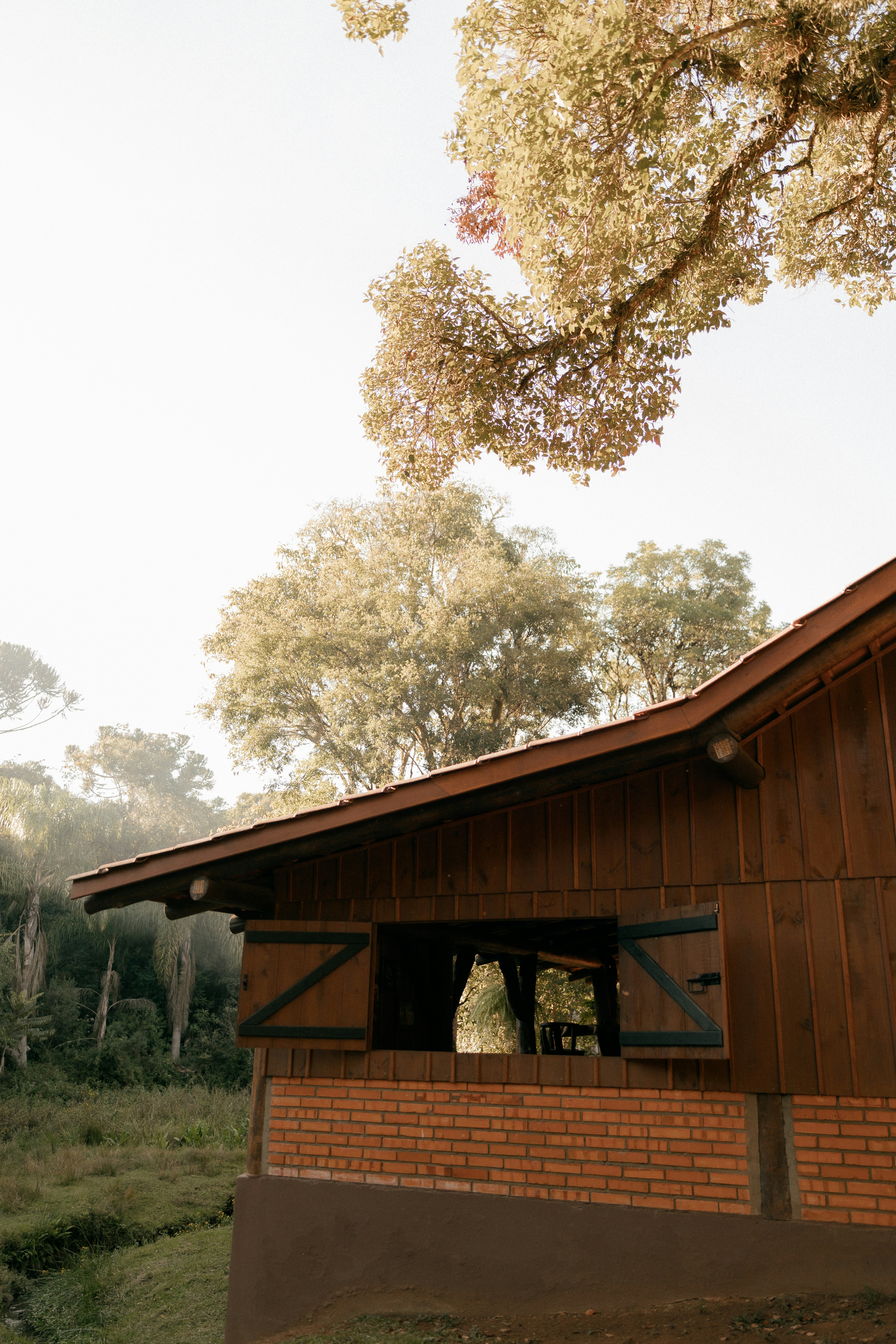 Sunlit Farmhouse in Warm Autumn Light