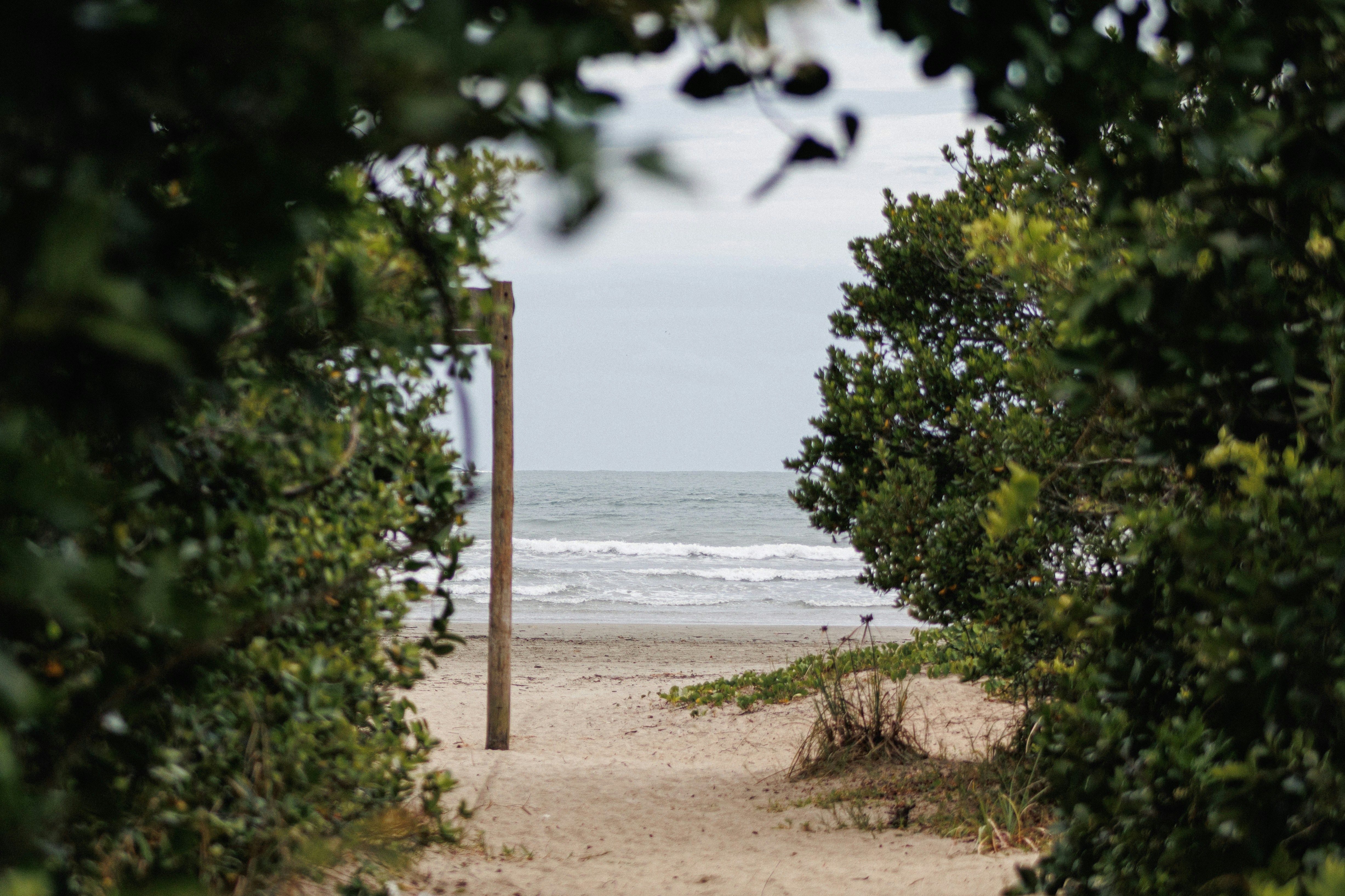 Path to the Sea: Framed by Green Archway