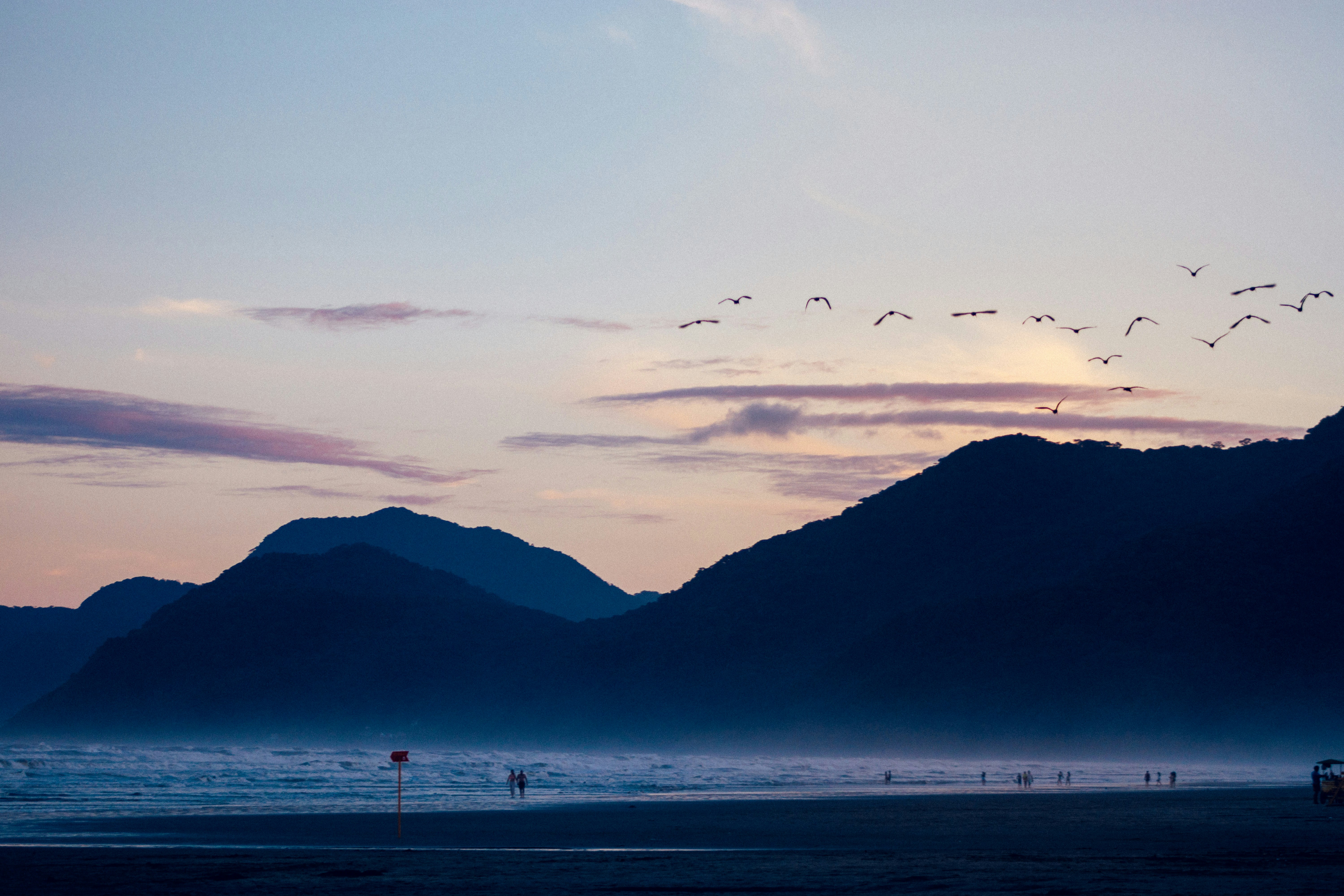 Dusk Over the Quiet Coast: Birds in Silent Ascent