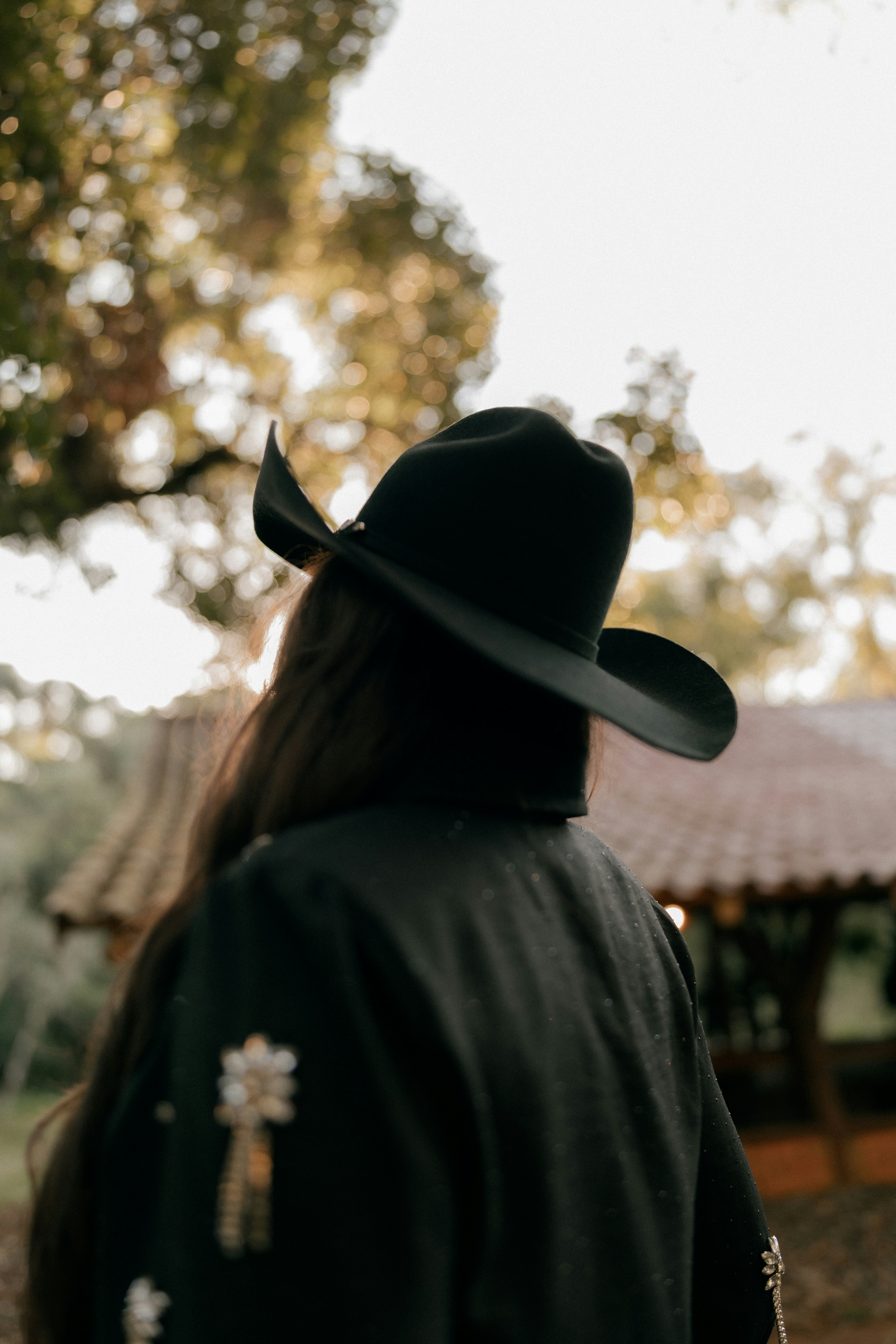 The Quiet Hat: A Backward Glance at Golden Light