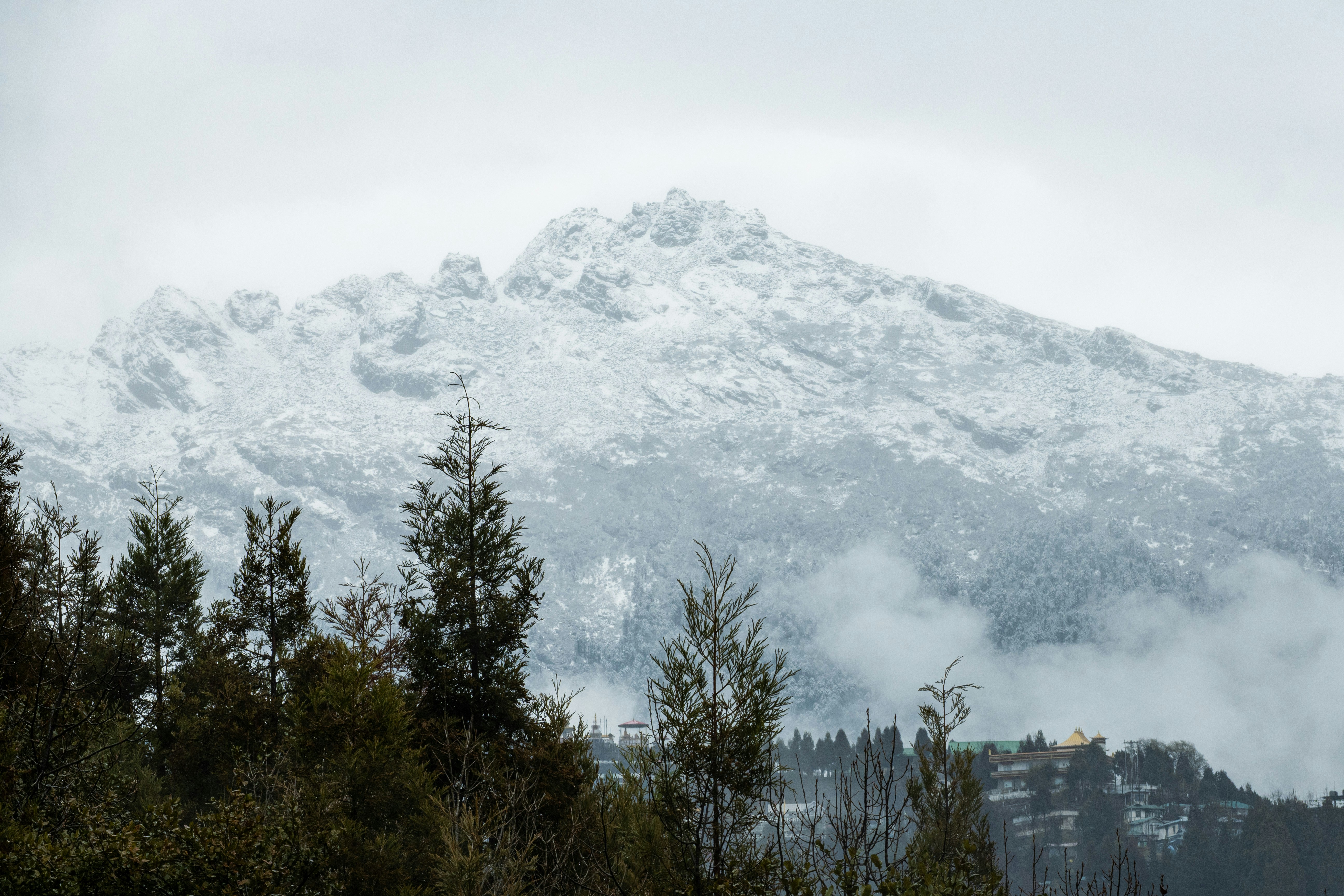 Snowbound Peaks Quietly Rising Over a Forested Valley