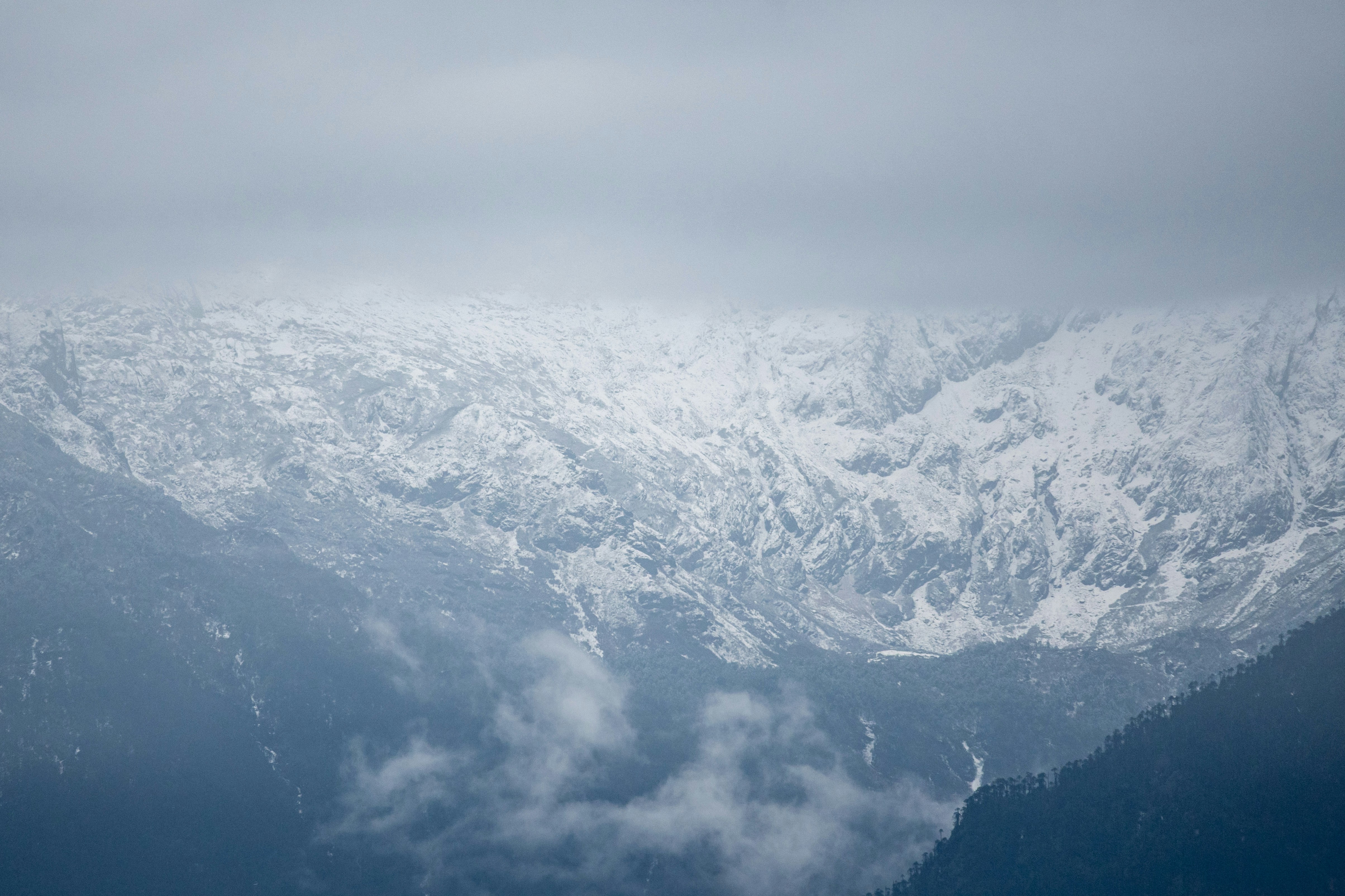 Snowy Crest Above the Cloudged Sea