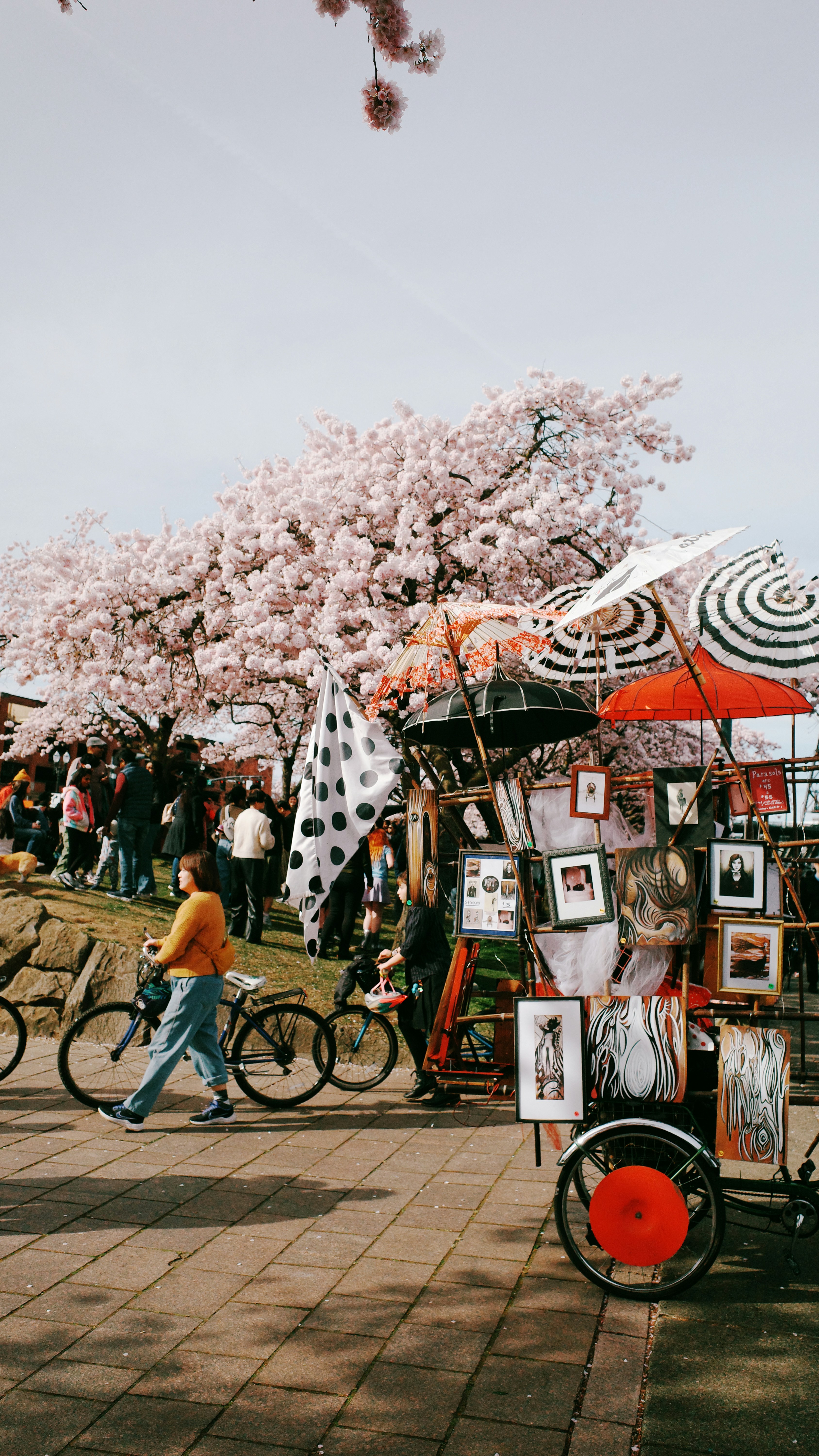 Cherry Blossom Market: A Street Scene Beyond the Petals