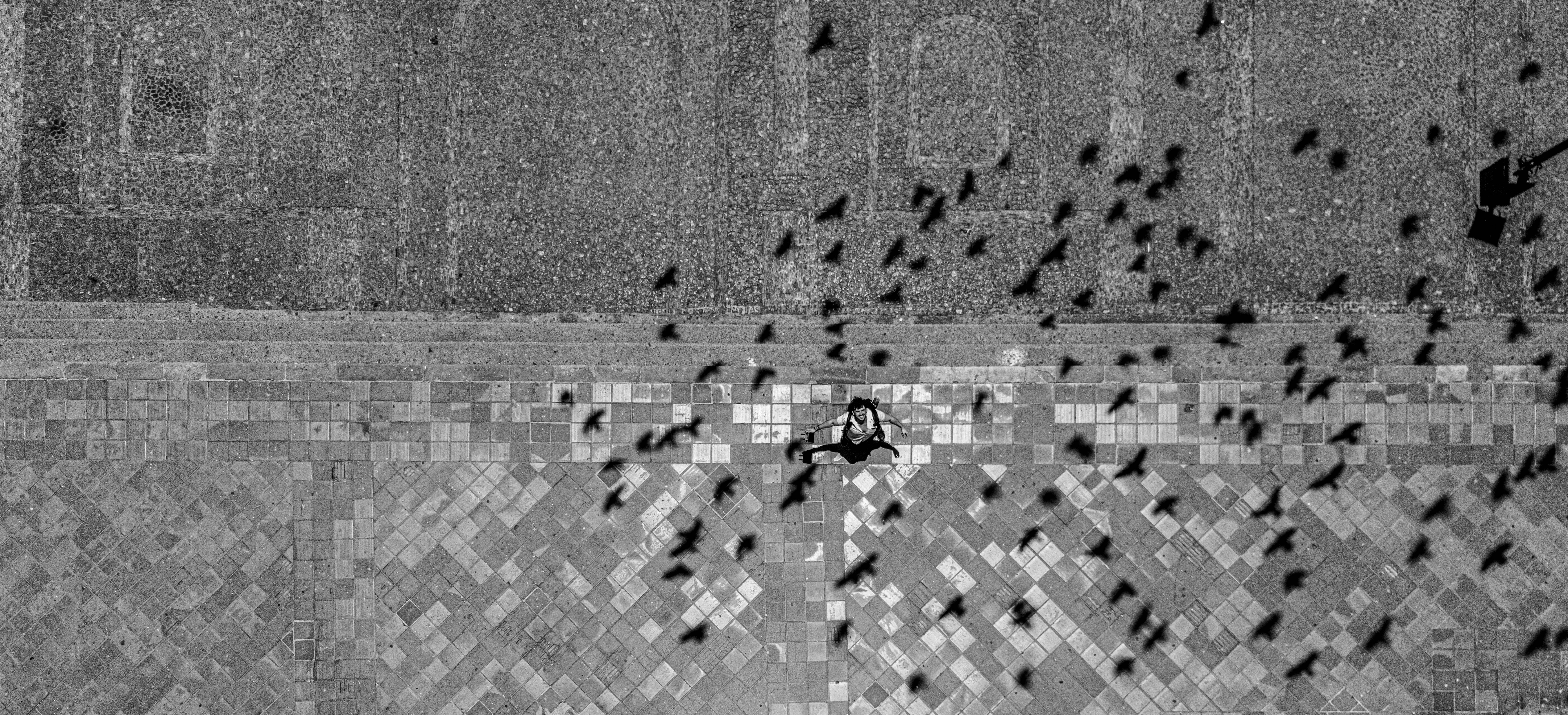 Birds in Flight Over a Geometric Plaza