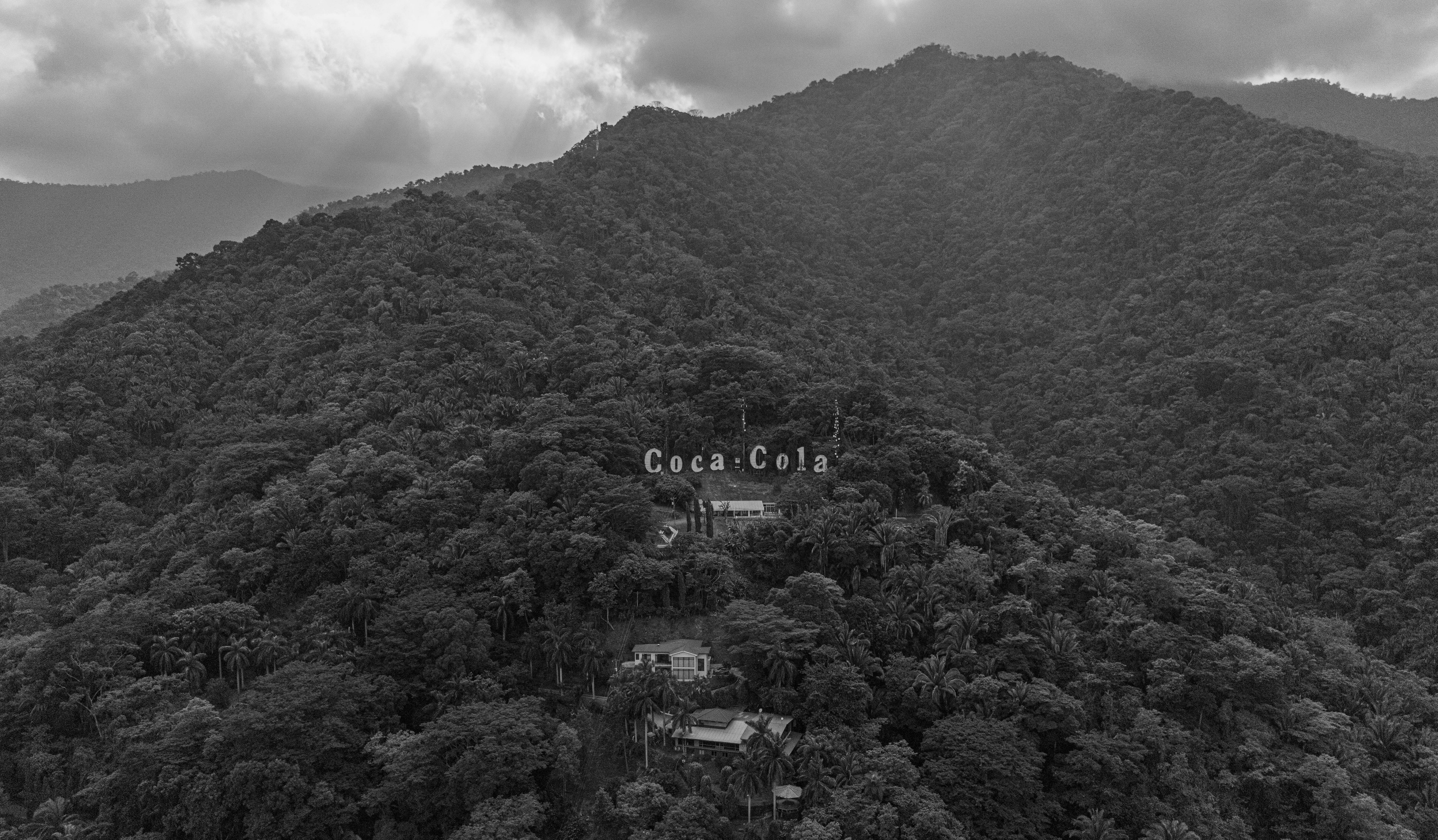 Hushed Summit: Coca-Cola sign perched among misty emerald hills